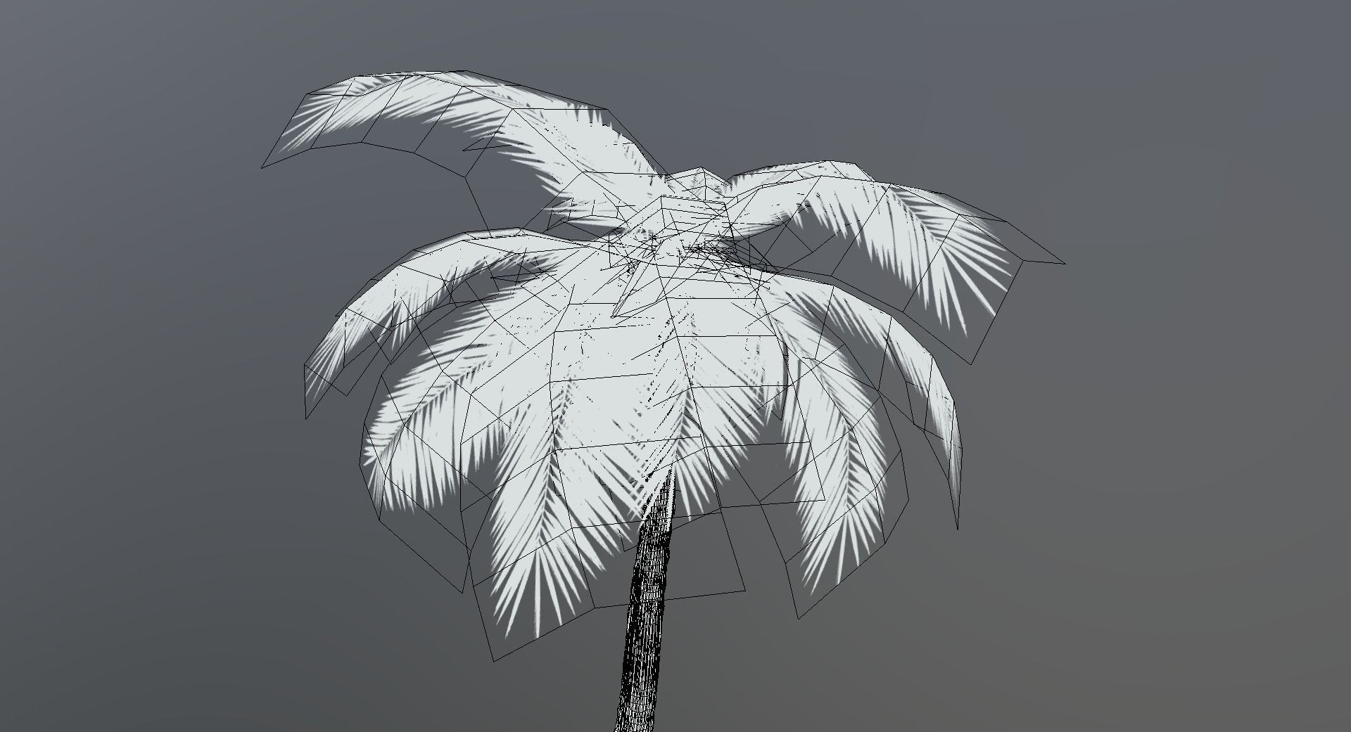 Tropical Palm free 3D model | CGTrader
