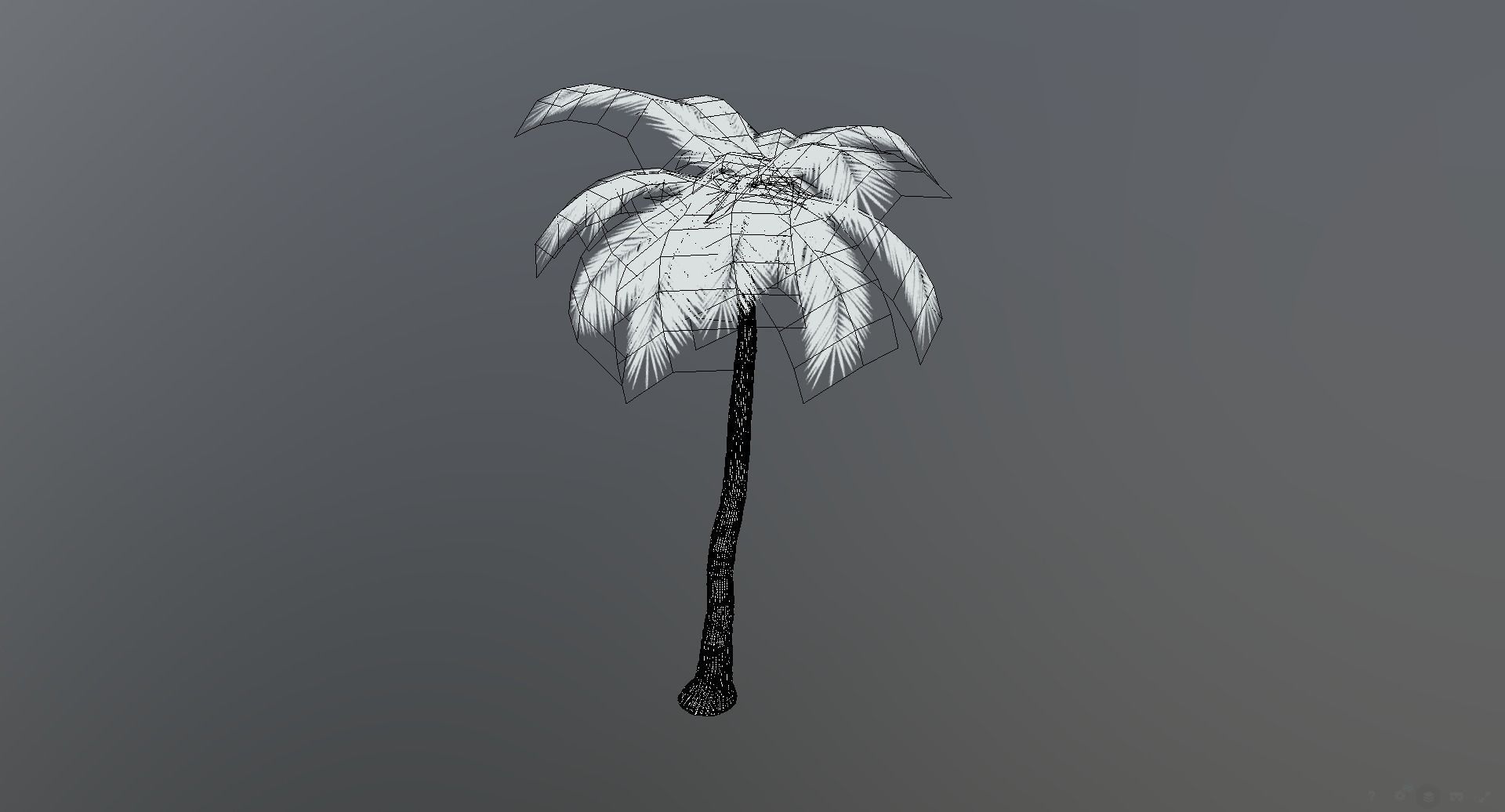 Tropical Palm free 3D model | CGTrader