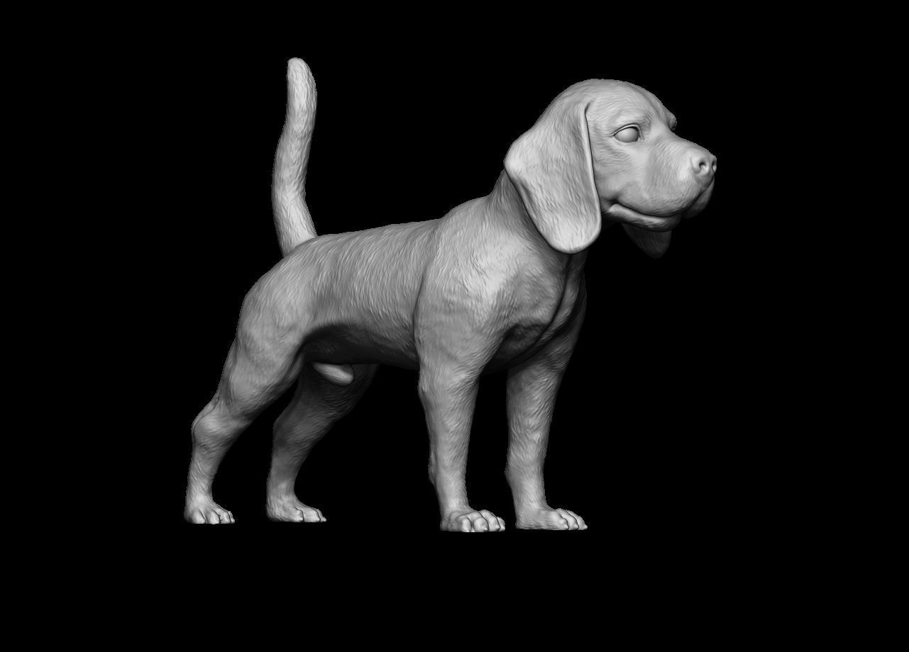 Beagle model 3D print model dog 3D model 3D printable | CGTrader
