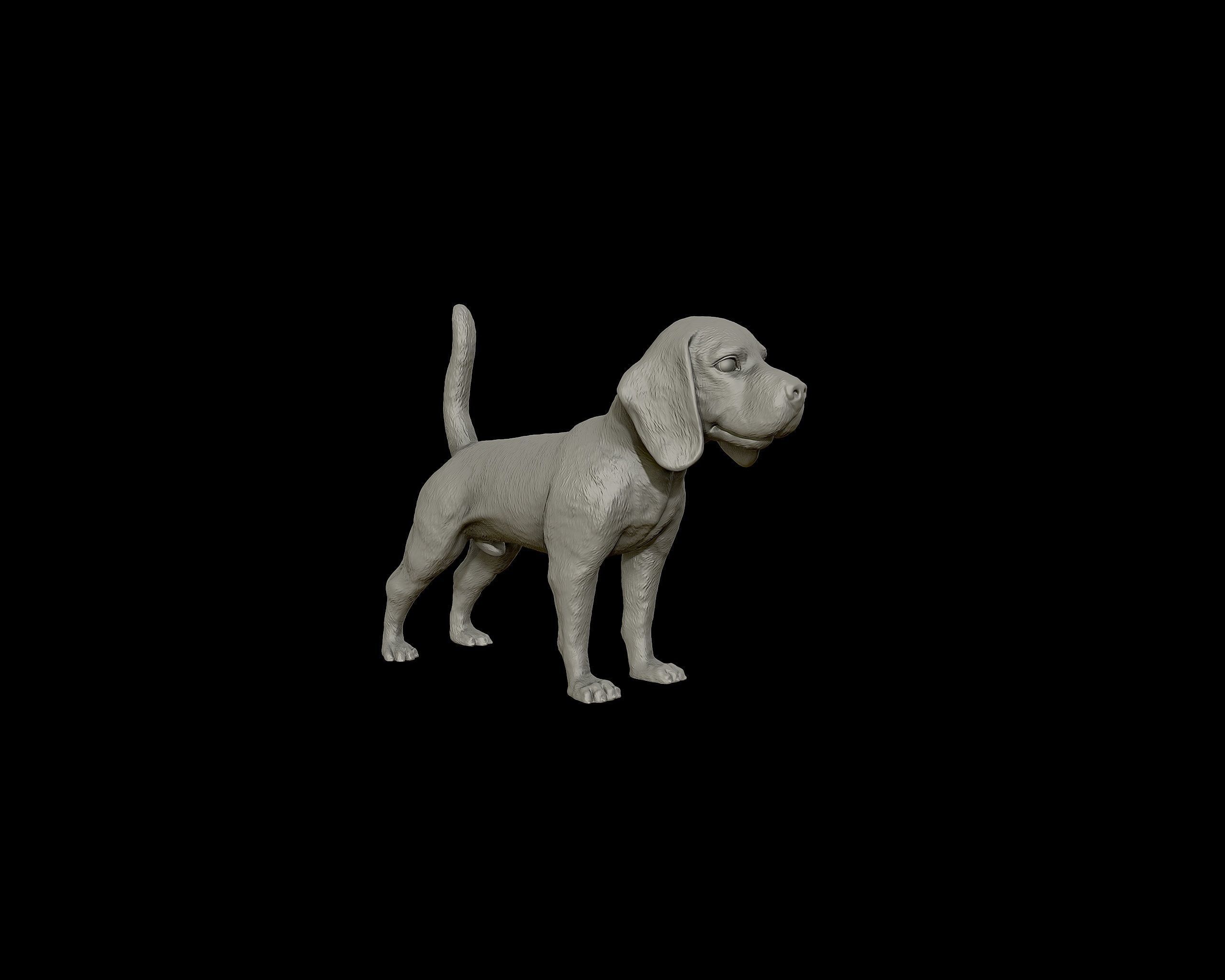 Beagle model 3D print model dog 3D model 3D printable | CGTrader