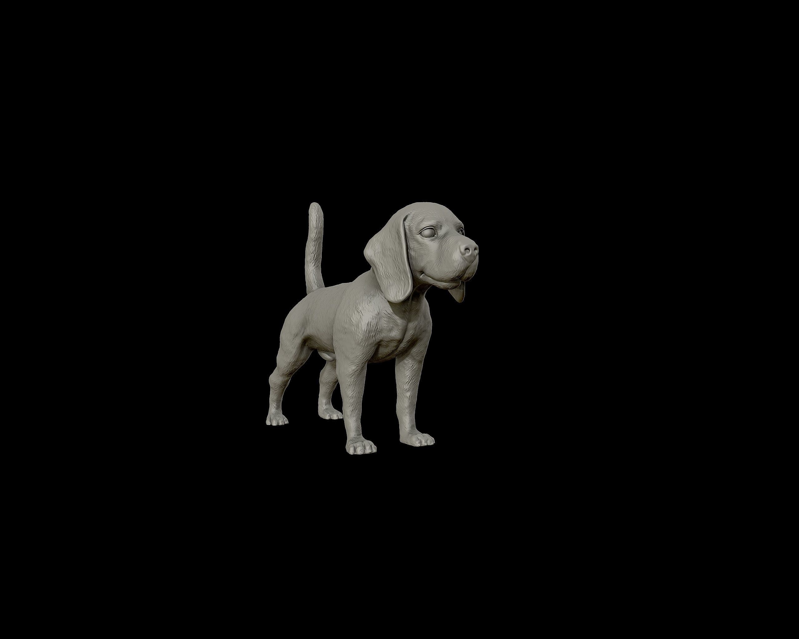 Beagle model 3D print model dog 3D model 3D printable | CGTrader