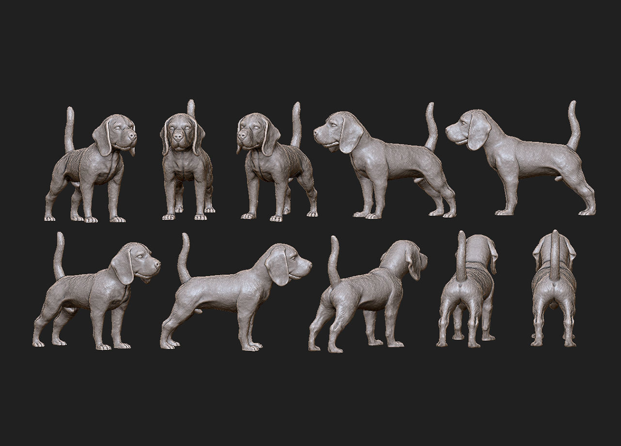 Beagle model 3D print model dog 3D model 3D printable | CGTrader