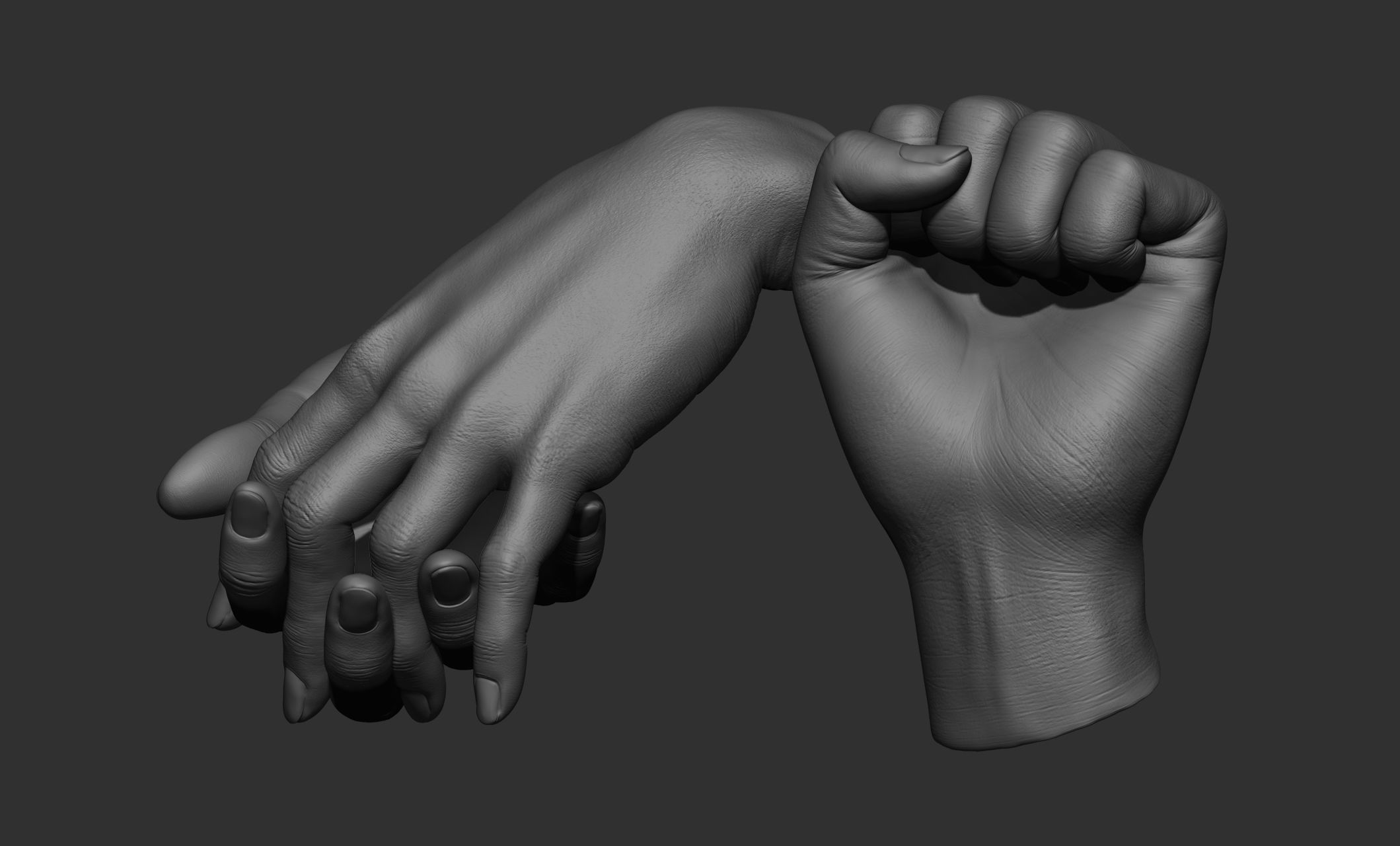 17 Female hand poses 3D model | CGTrader