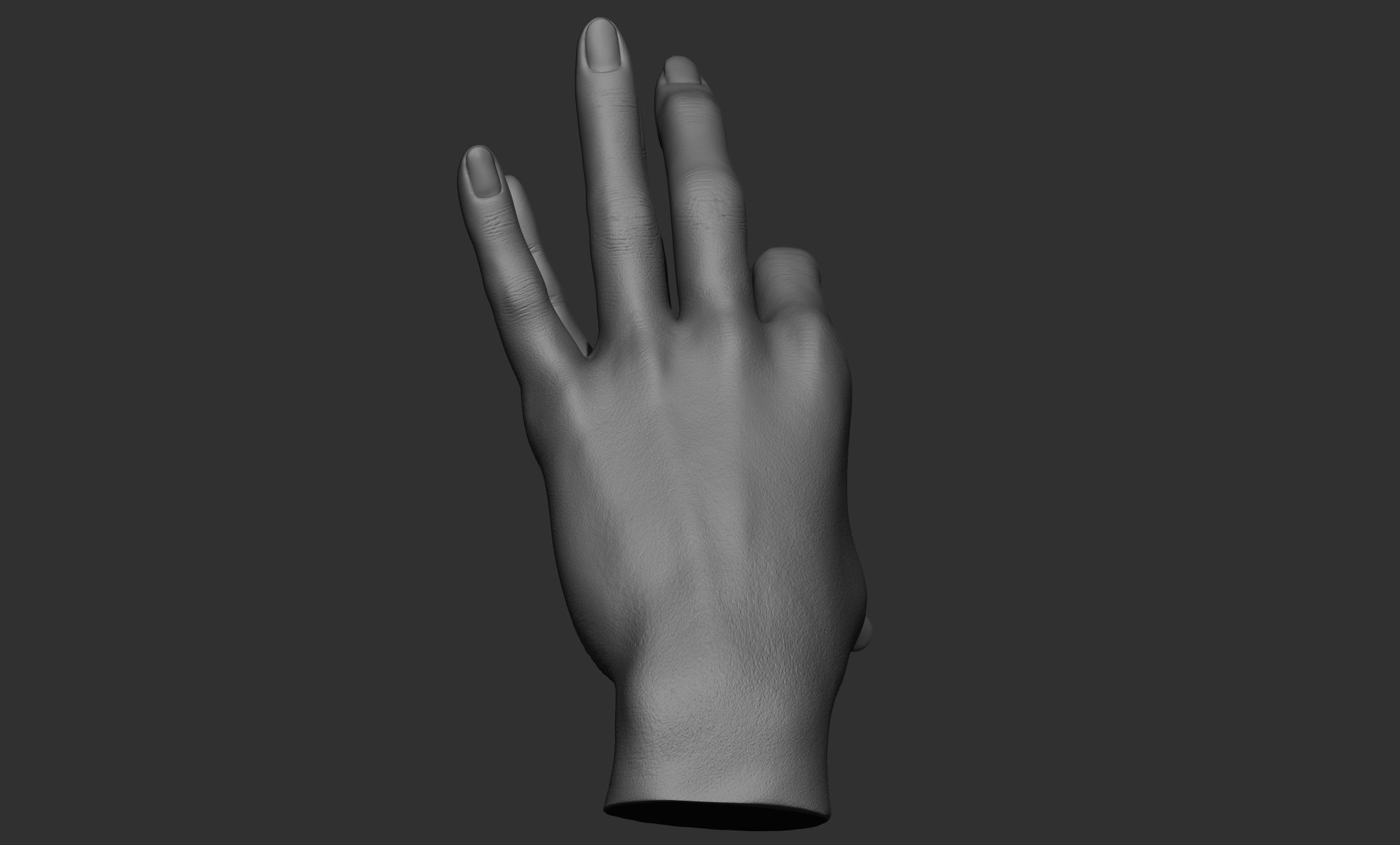 17 Female hand poses 3D model | CGTrader