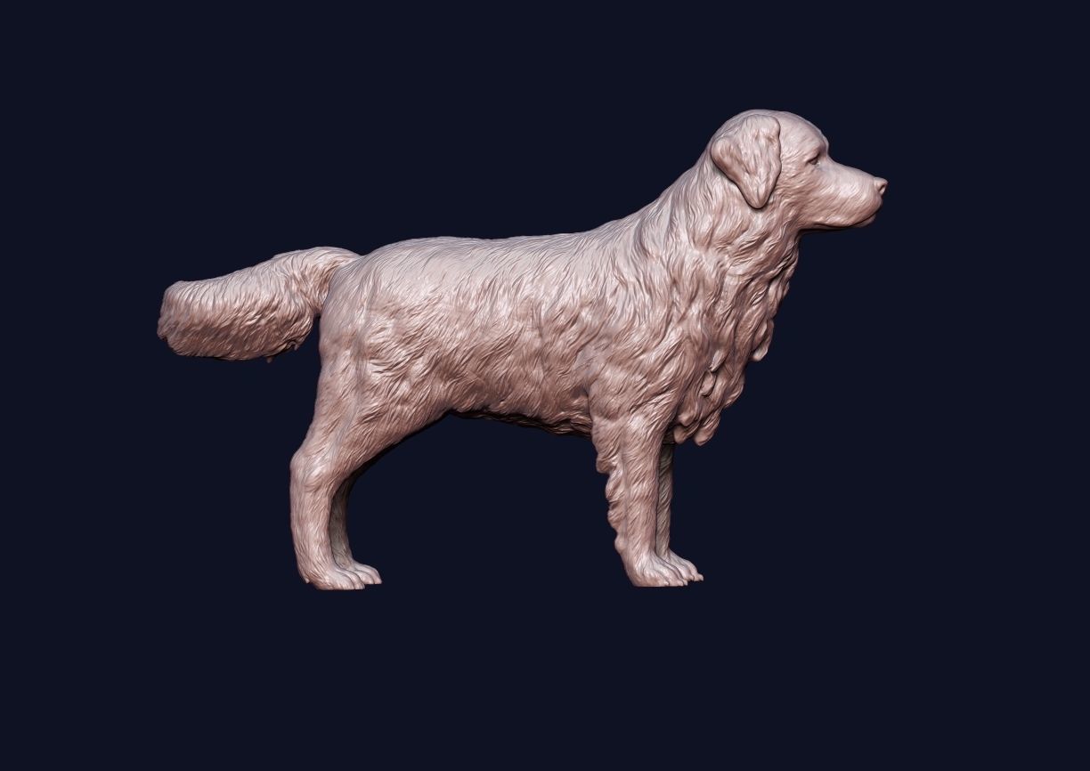 Golden Retriever model 3D print model 3D model 3D printable | CGTrader