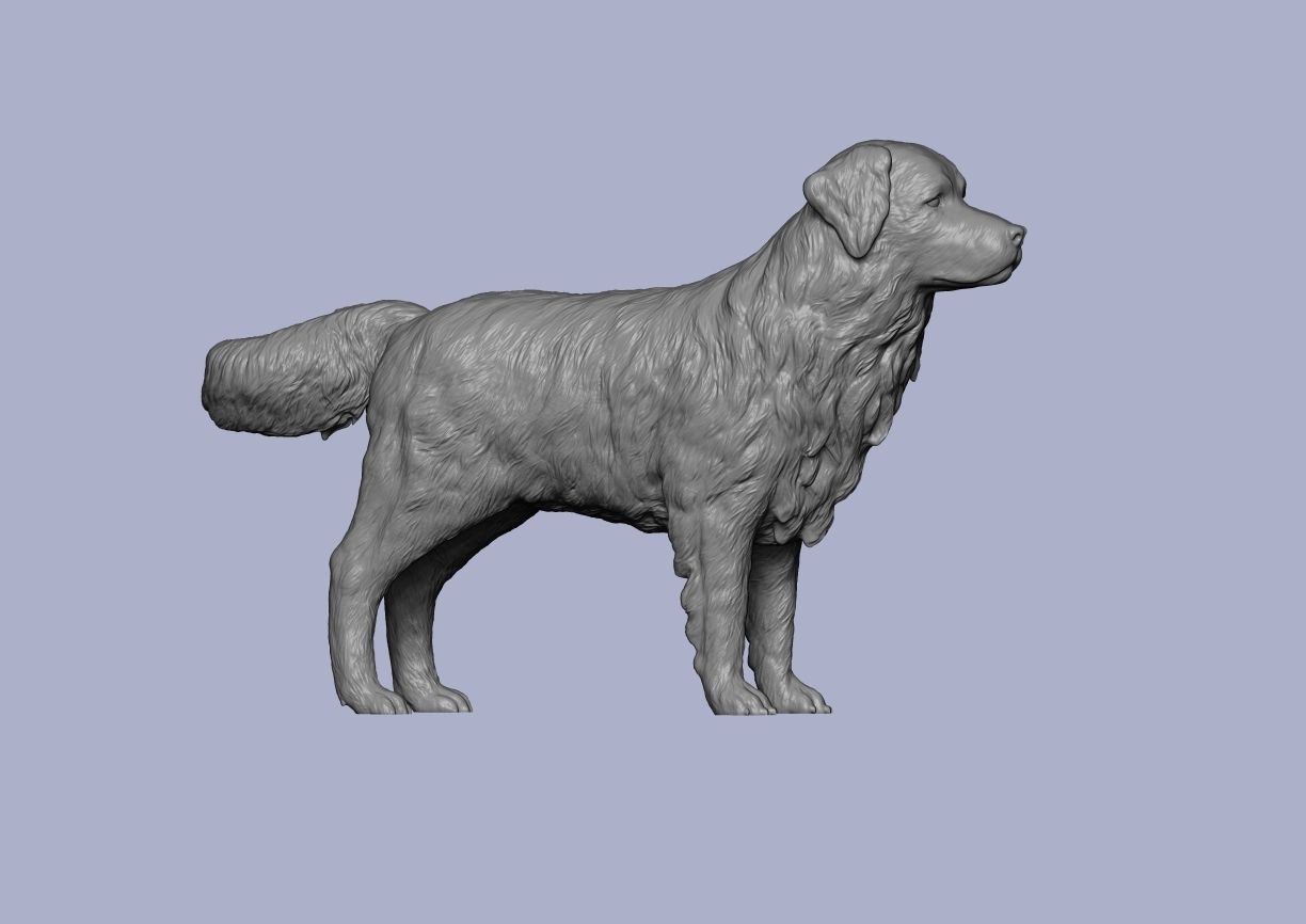 Golden Retriever model 3D print model 3D model 3D printable | CGTrader