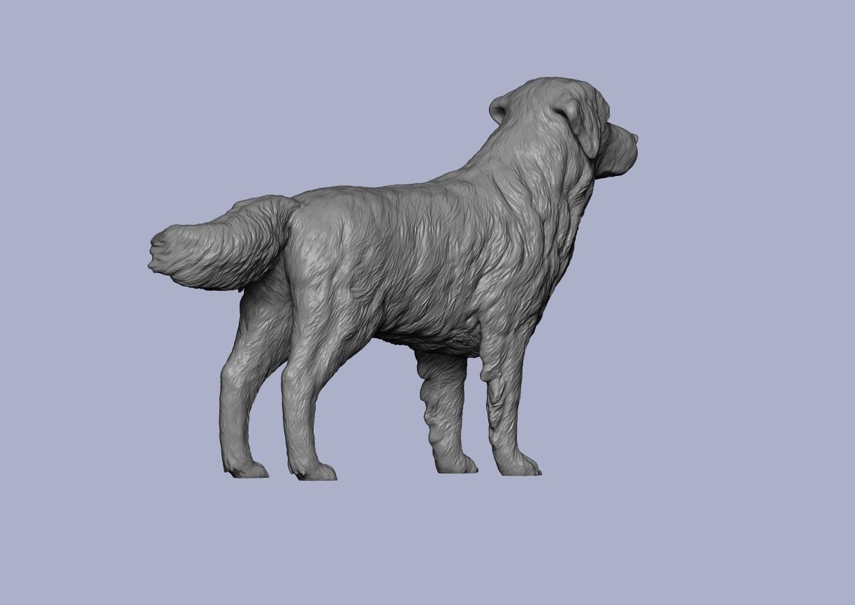 Golden Retriever model 3D print model 3D model 3D printable | CGTrader