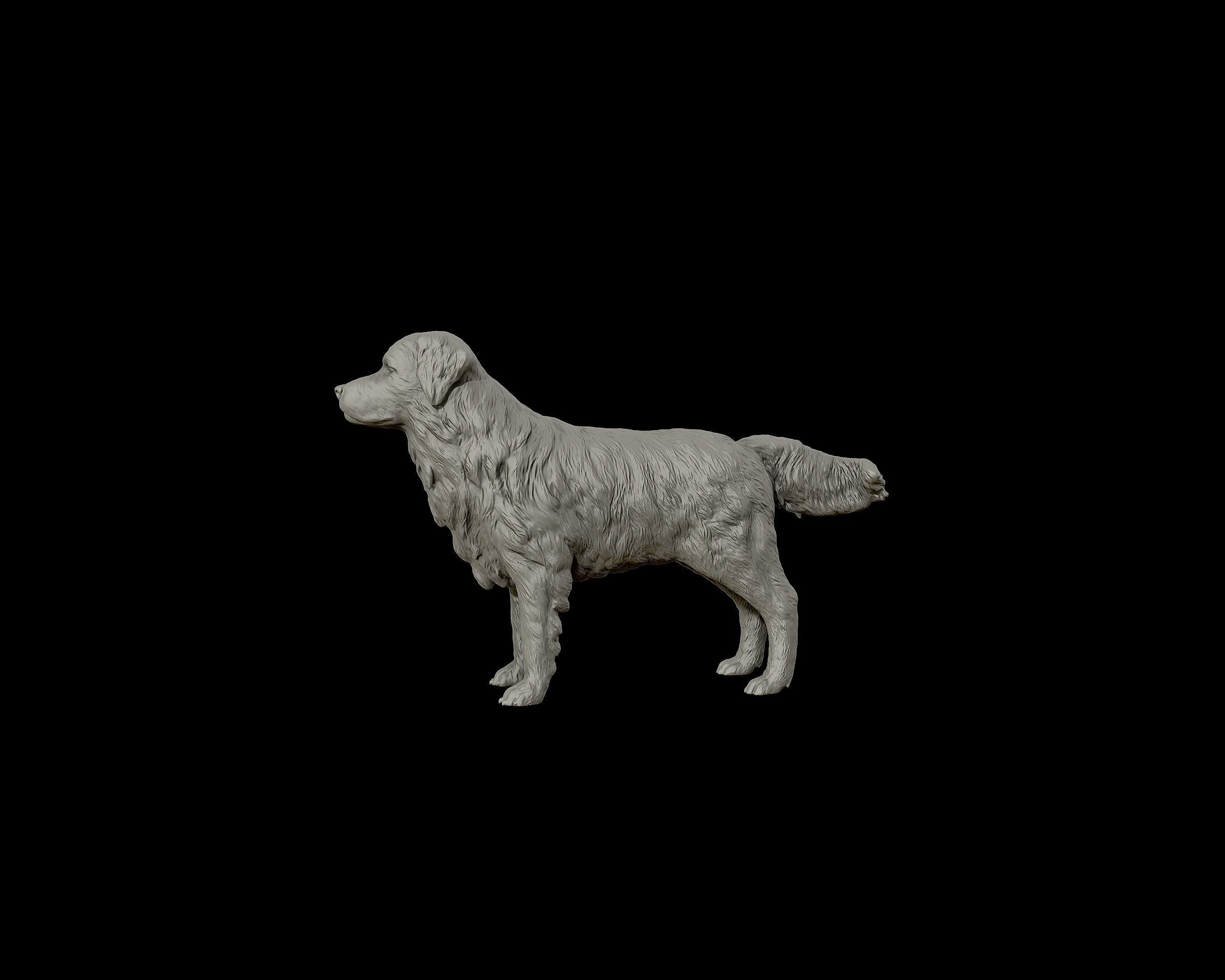 Golden Retriever model 3D print model 3D model 3D printable | CGTrader