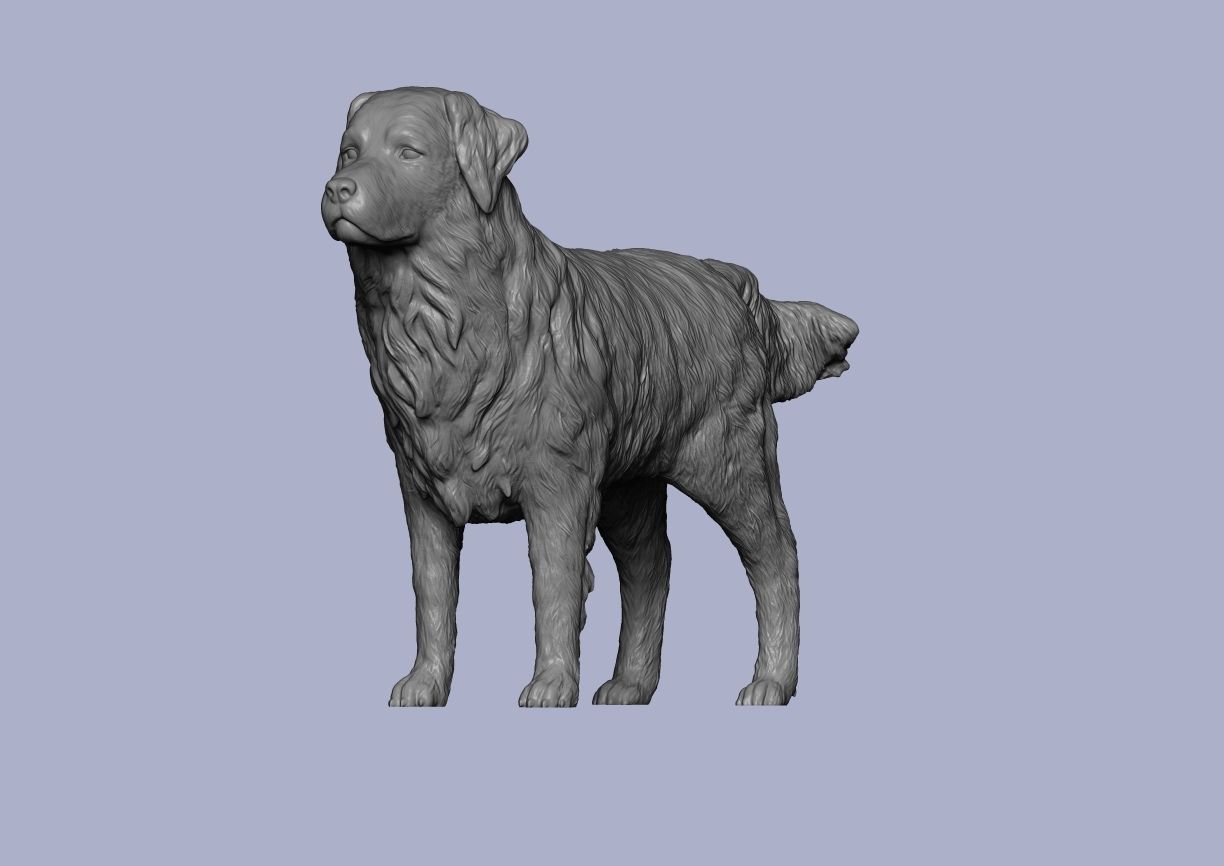 Golden Retriever model 3D print model 3D model 3D printable | CGTrader