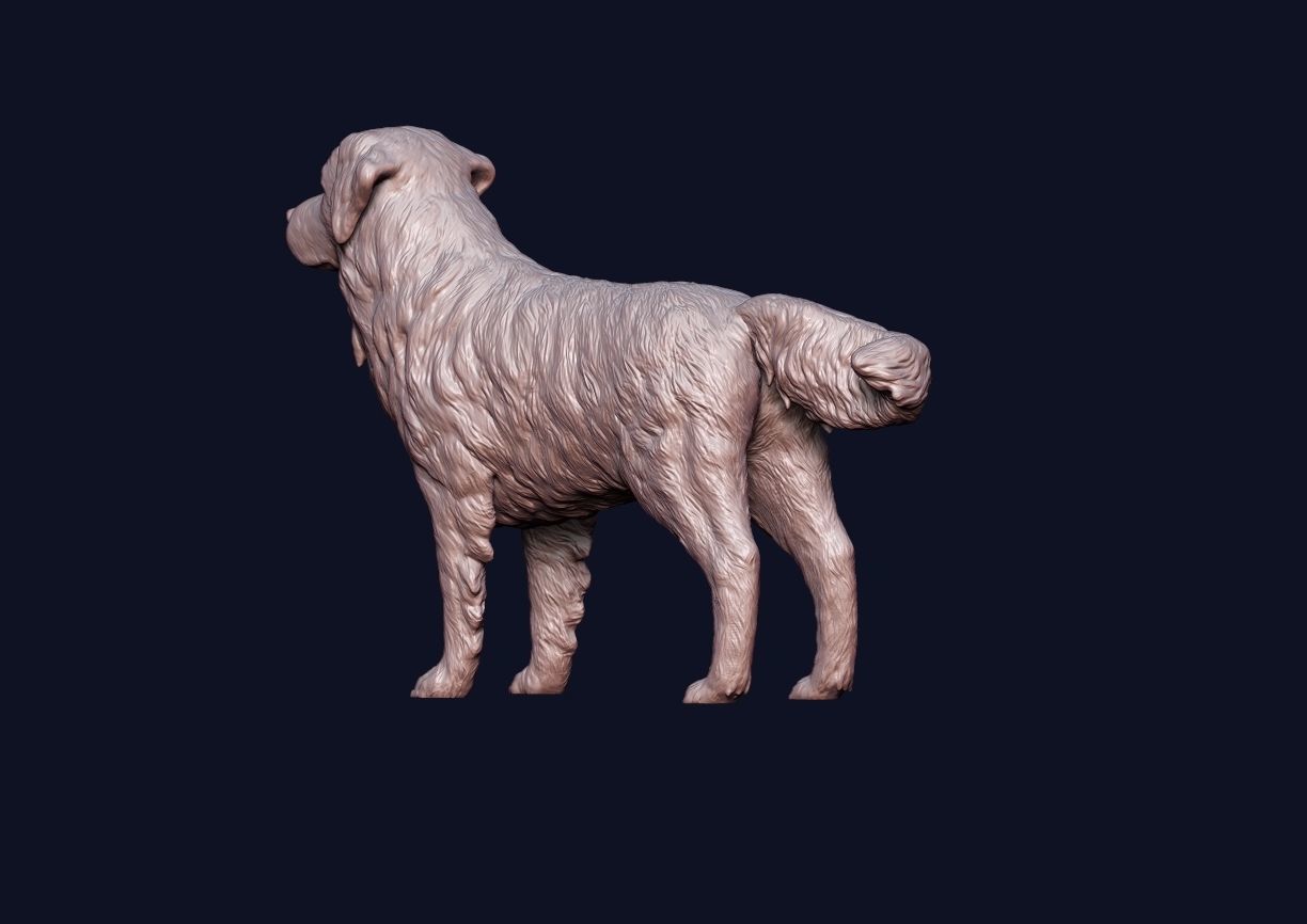 Golden Retriever model 3D print model 3D model 3D printable | CGTrader