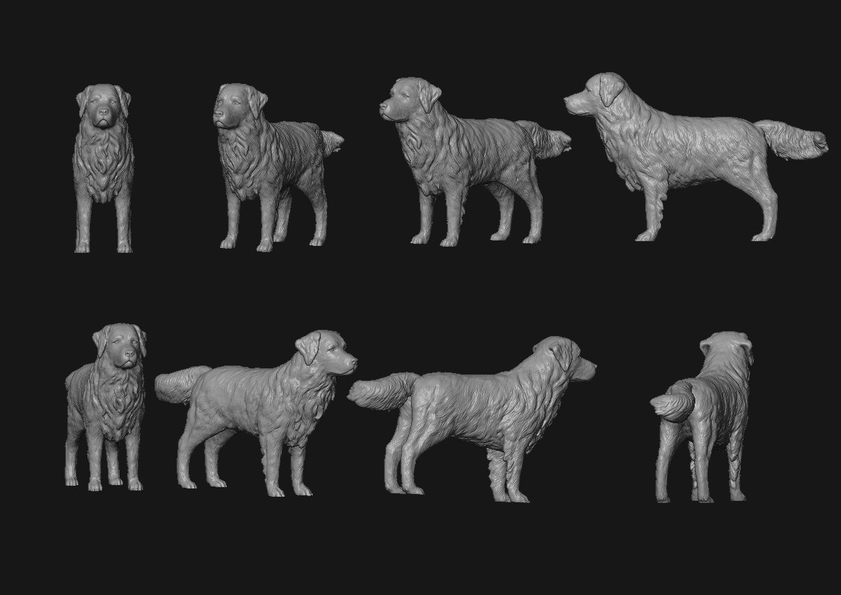 Golden Retriever model 3D print model 3D model 3D printable | CGTrader