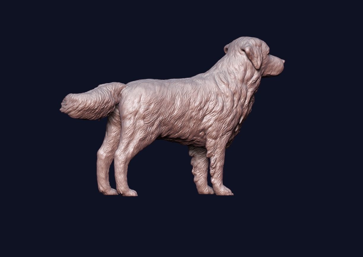 Golden Retriever model 3D print model 3D model 3D printable | CGTrader