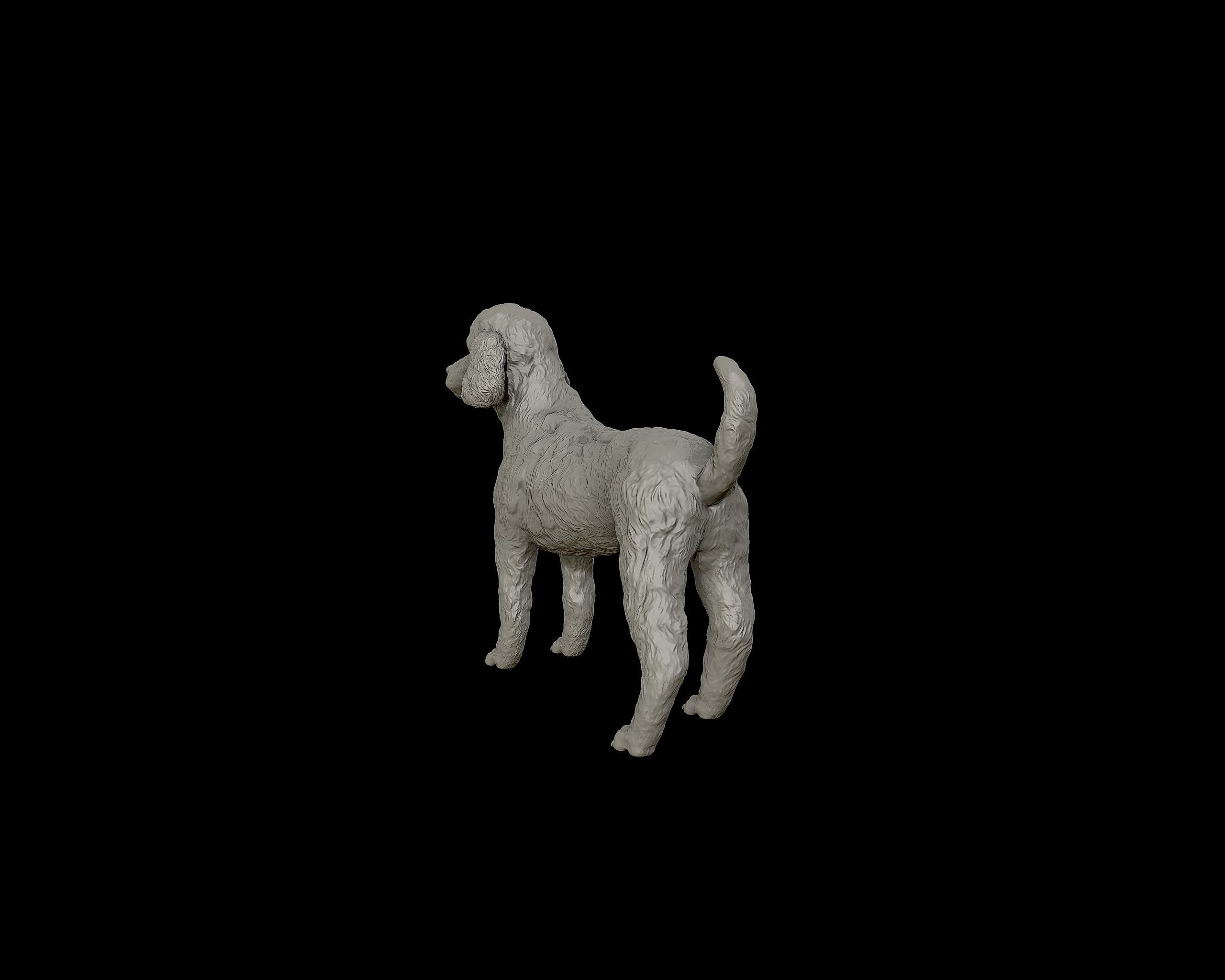 Poodle model dog 3D model 3D printable | CGTrader
