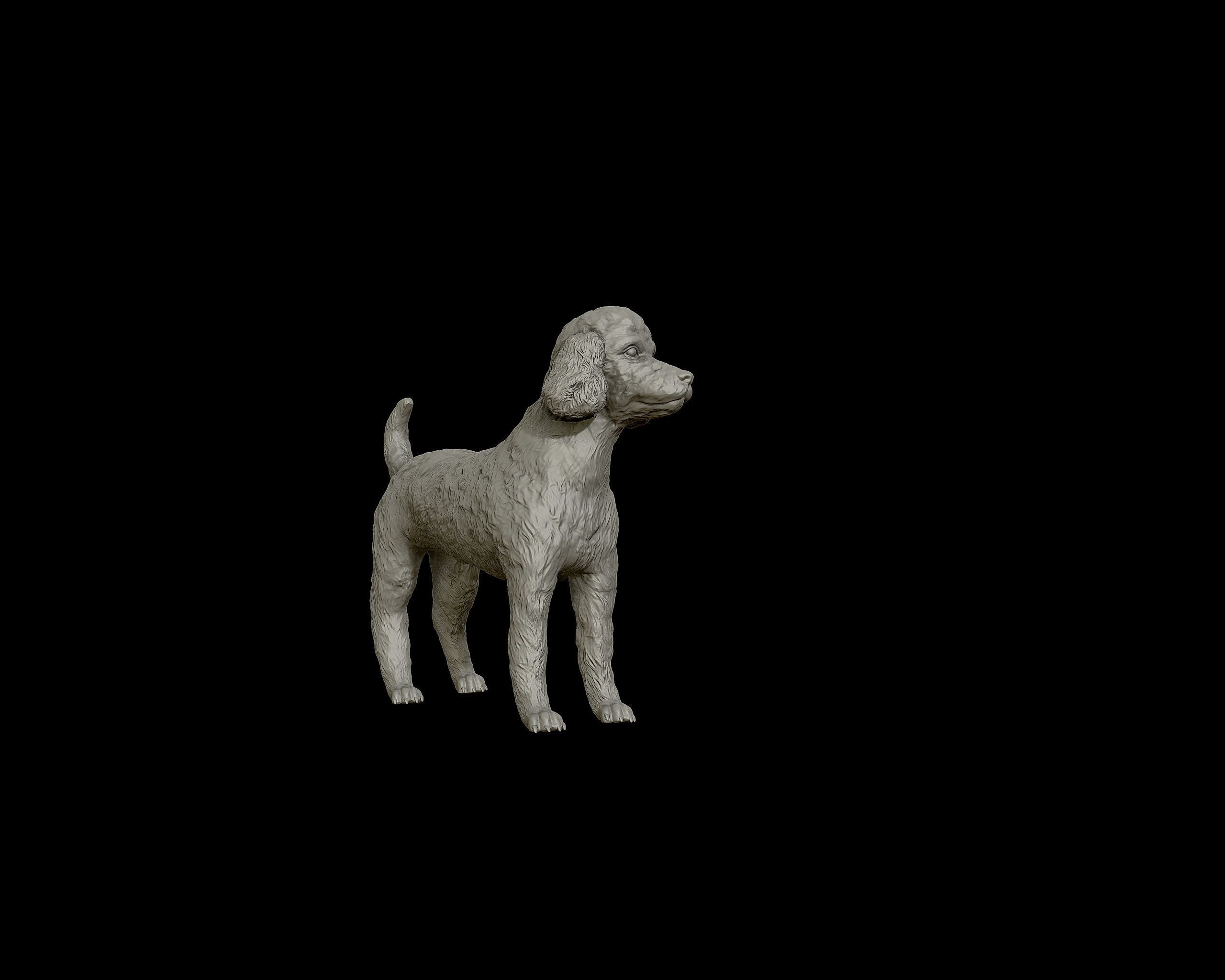 Poodle model dog 3D model 3D printable | CGTrader