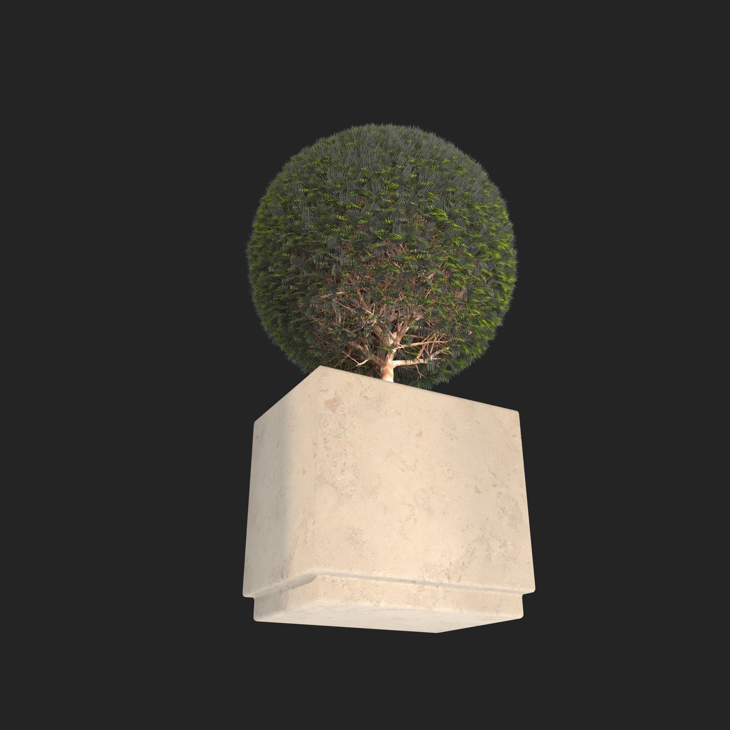 Spherical plant 3D model | CGTrader