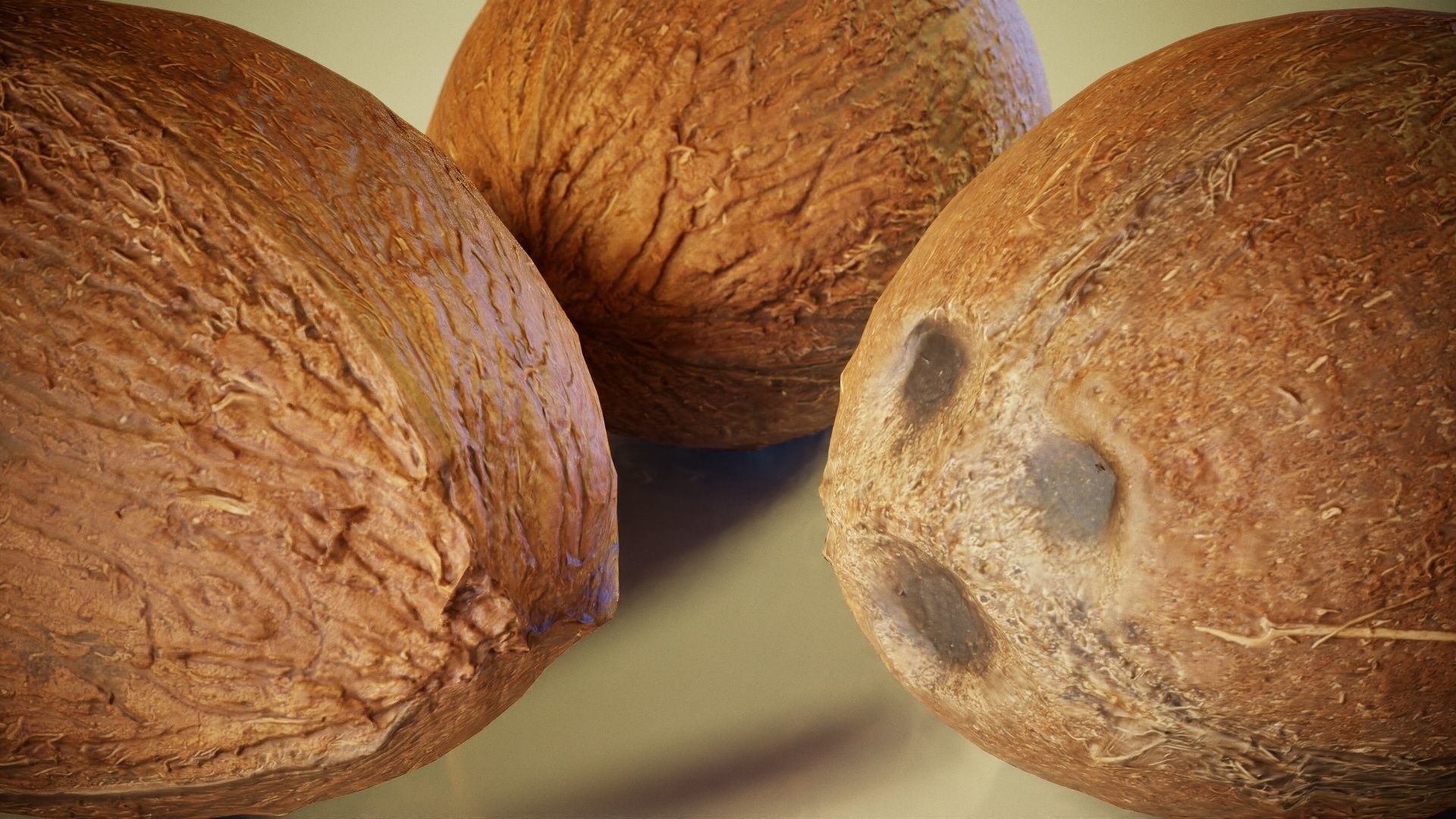 3D model Coconut three coconuts on table VR / AR / low-poly | CGTrader