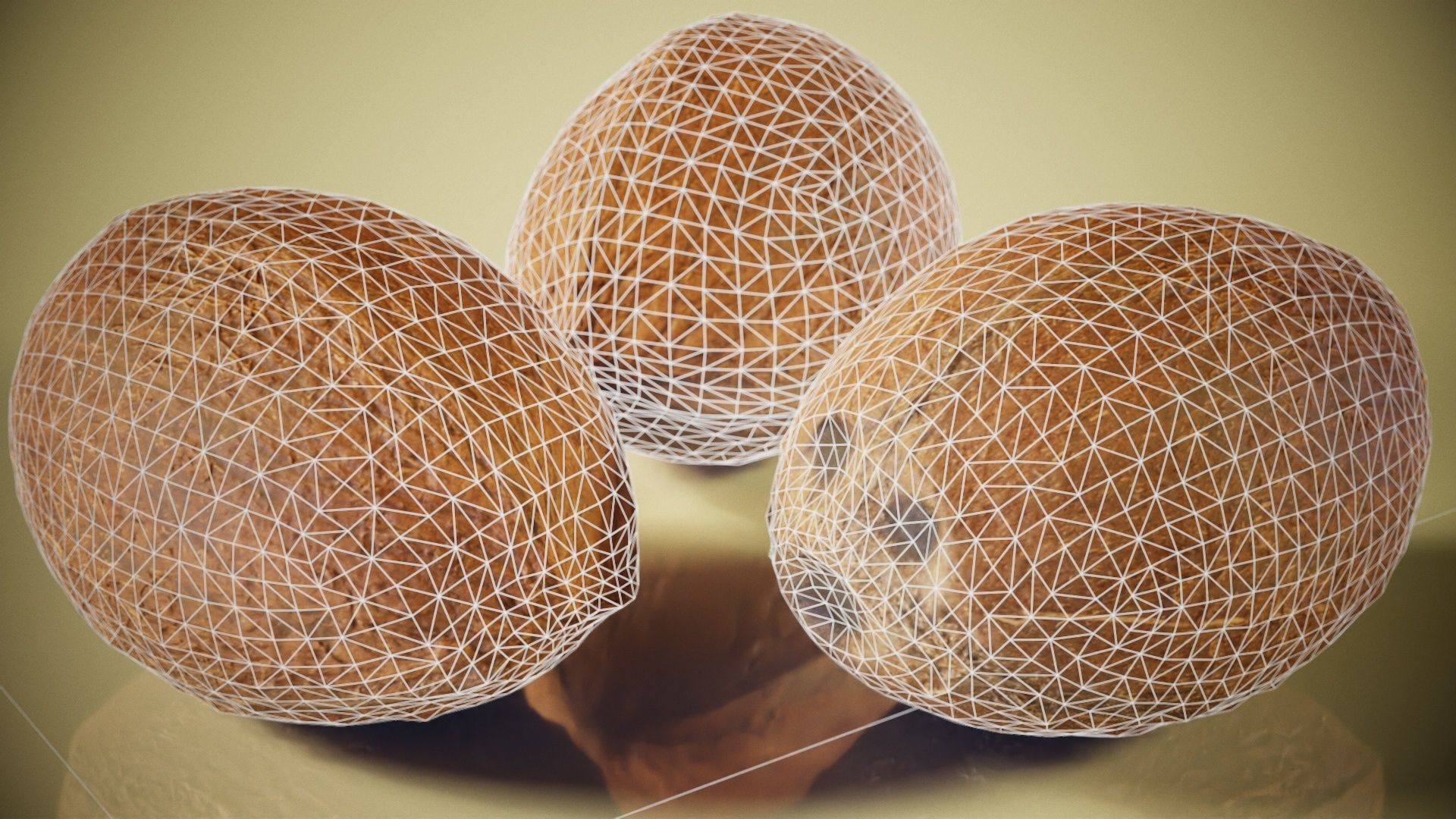 3D model Coconut three coconuts on table VR / AR / low-poly | CGTrader