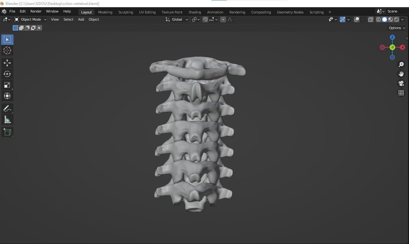 The seven cervical vertebrae modeled and textured in blender 3D model ...