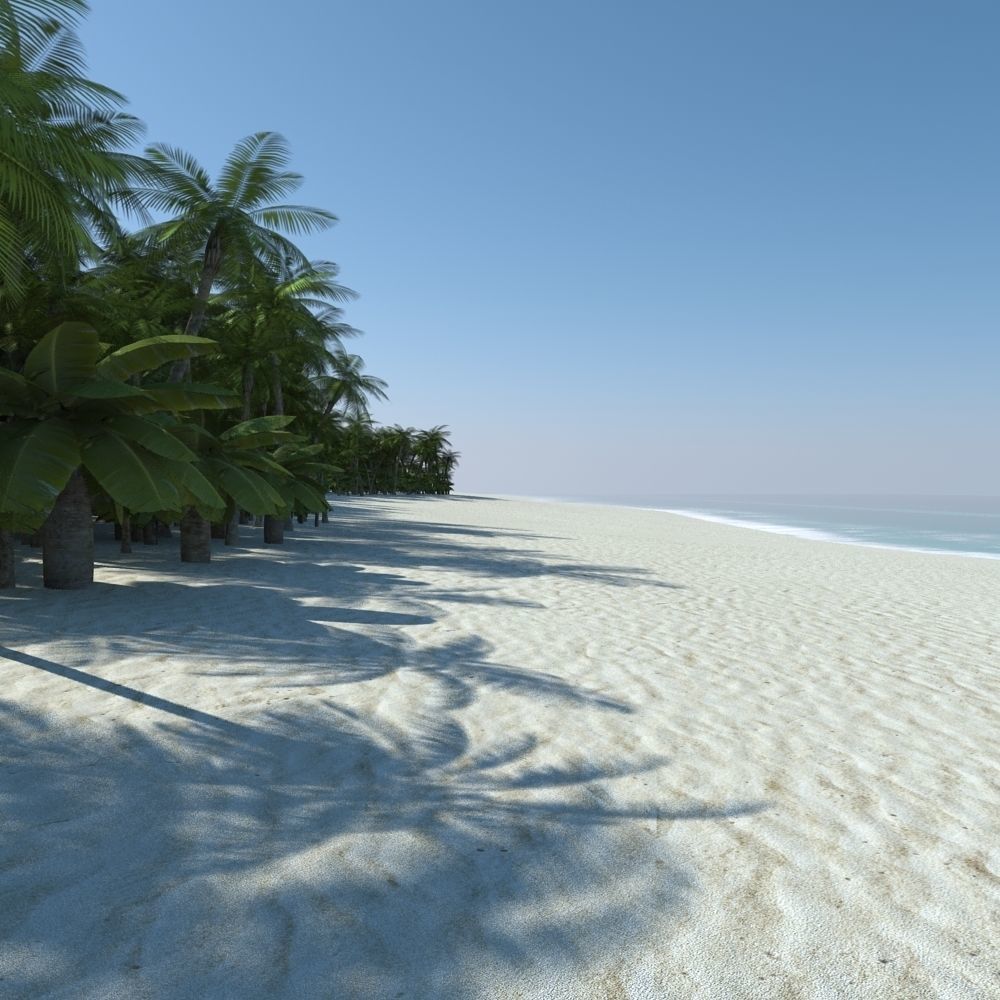 Tropical Beach 3D model | CGTrader