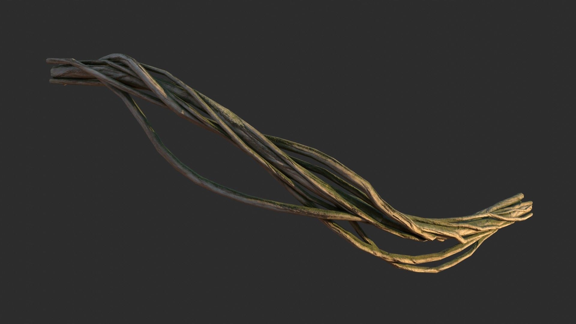 3D model Root braided Vines Set VR / AR / low-poly | CGTrader