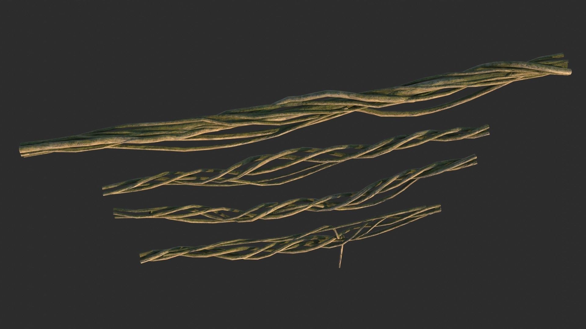 3D model Root braided Vines Set VR / AR / low-poly | CGTrader