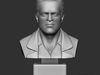 Frank West from Dead Rising Bust free 3D model 3D printable | CGTrader