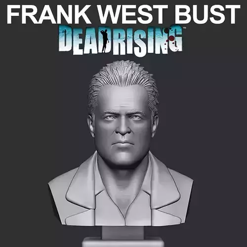 Frank West from Dead Rising Bust free 3D model 3D printable | CGTrader