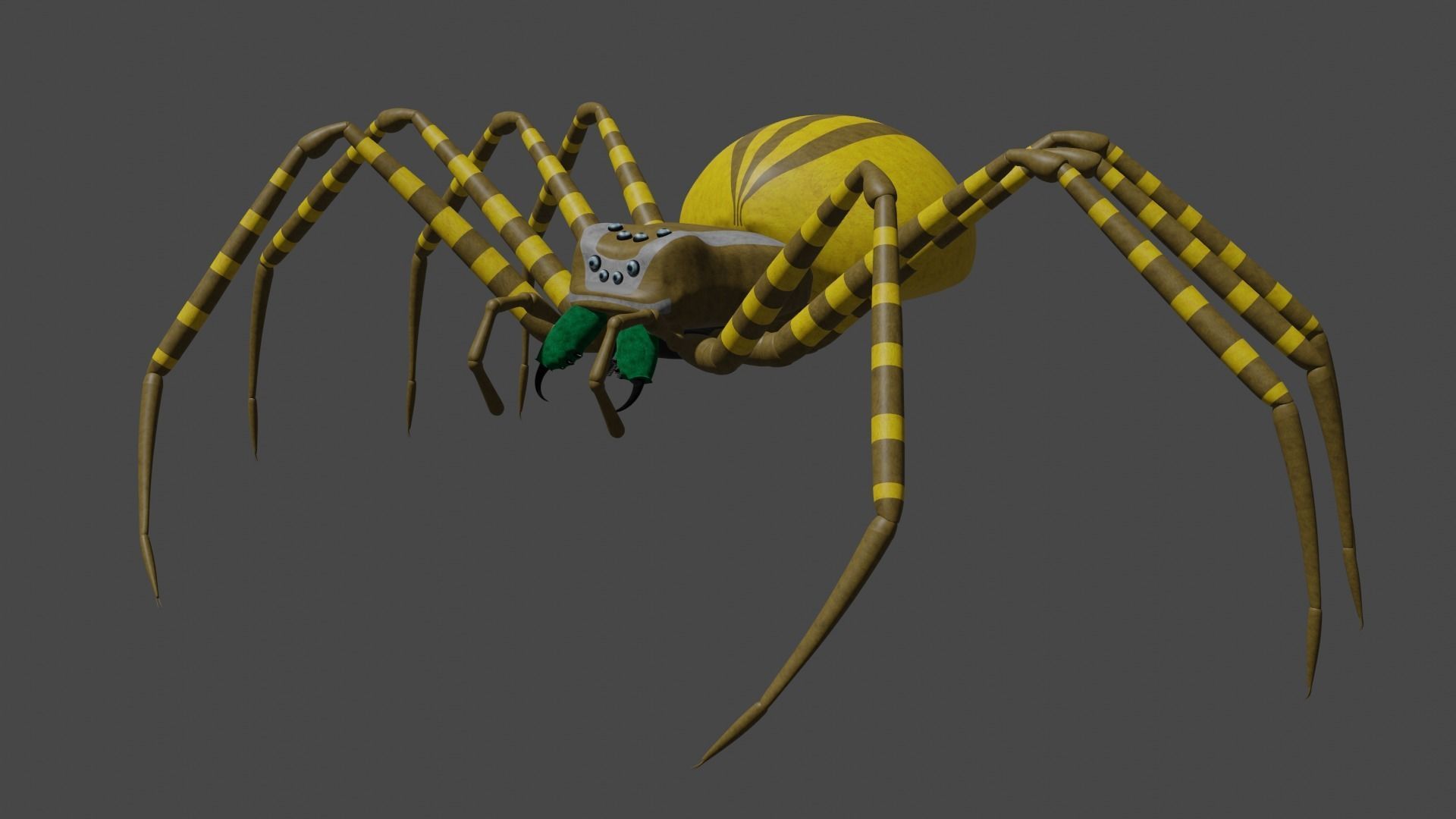 Total Spider 3D model animated rigged | CGTrader