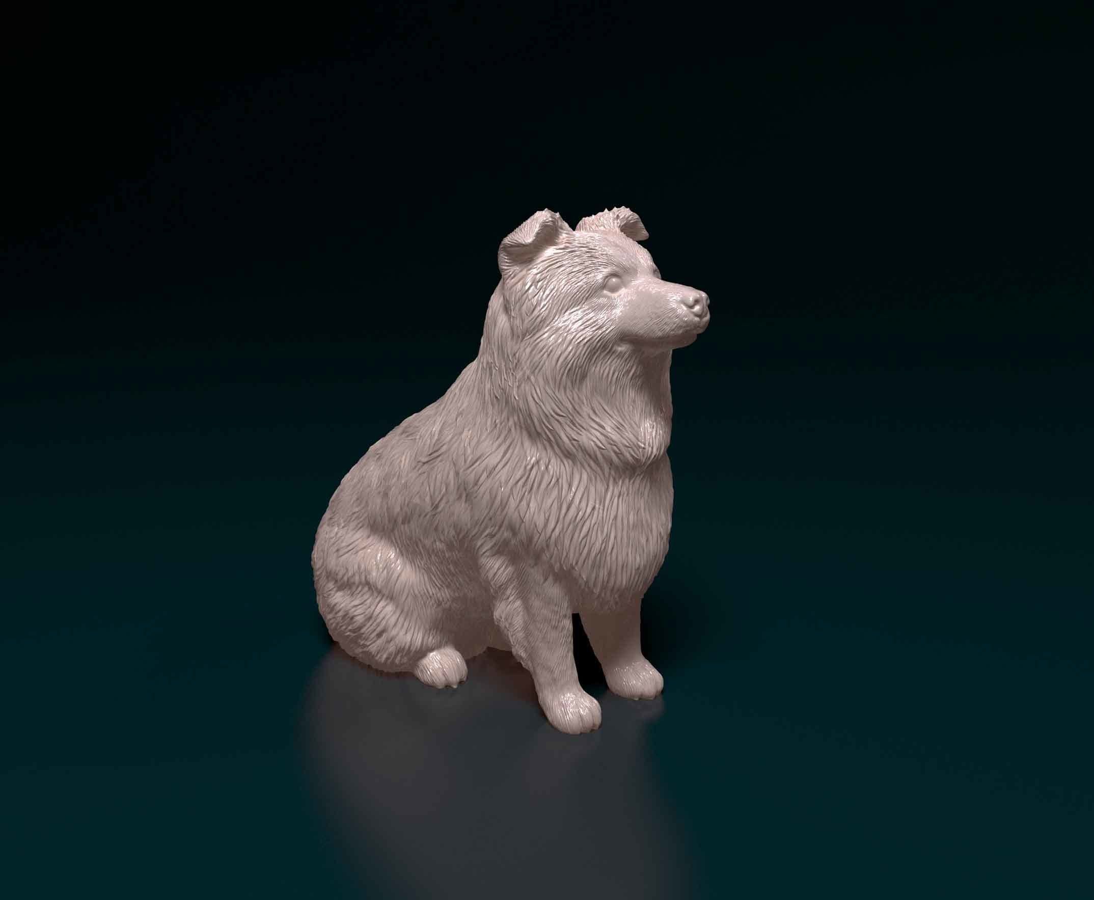 Mini Australian Shepherd 3D model 3D printable | CGTrader