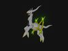 Arceus pokemon free 3D model rigged | CGTrader