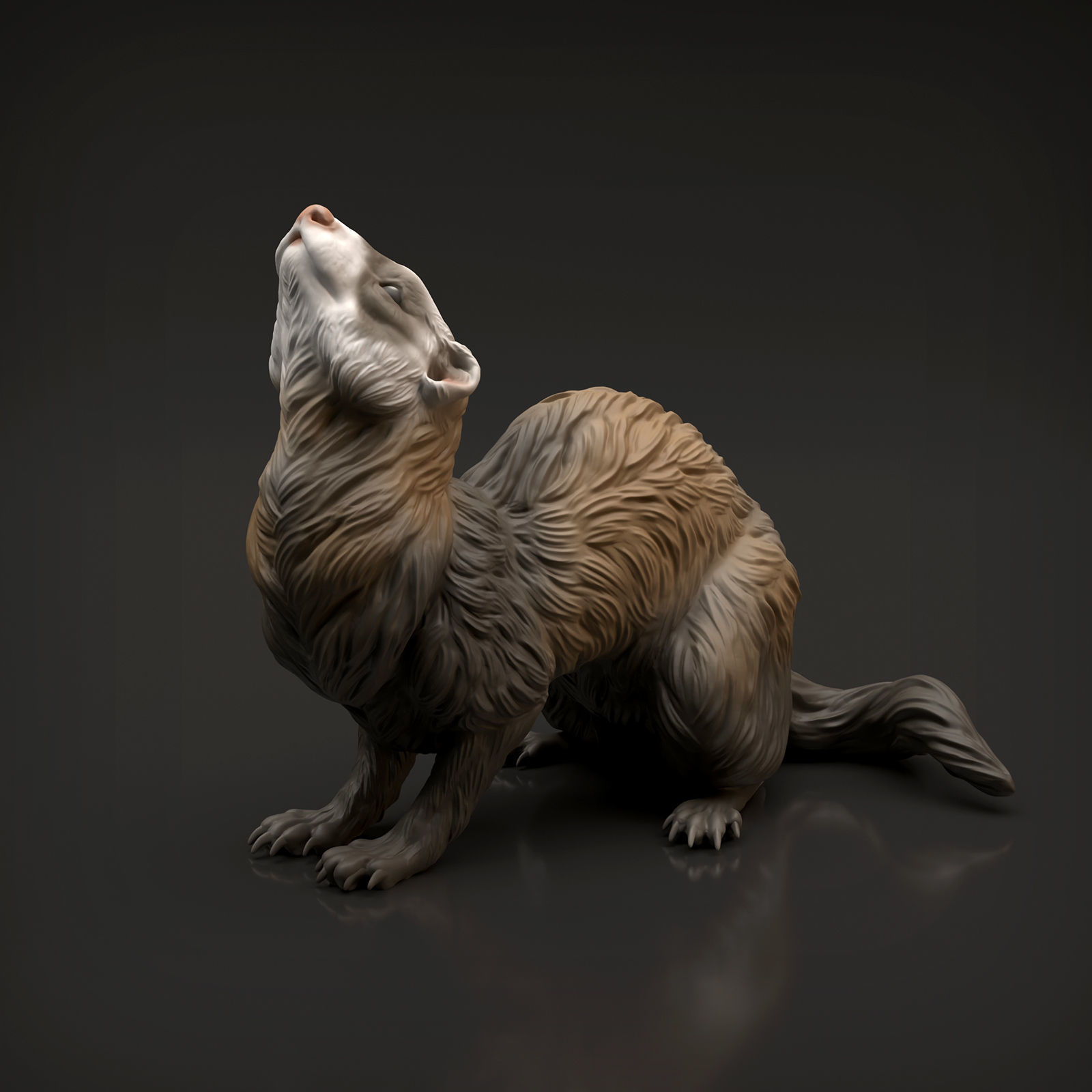 Ferret for 3D Printing 3D model 3D printable | CGTrader