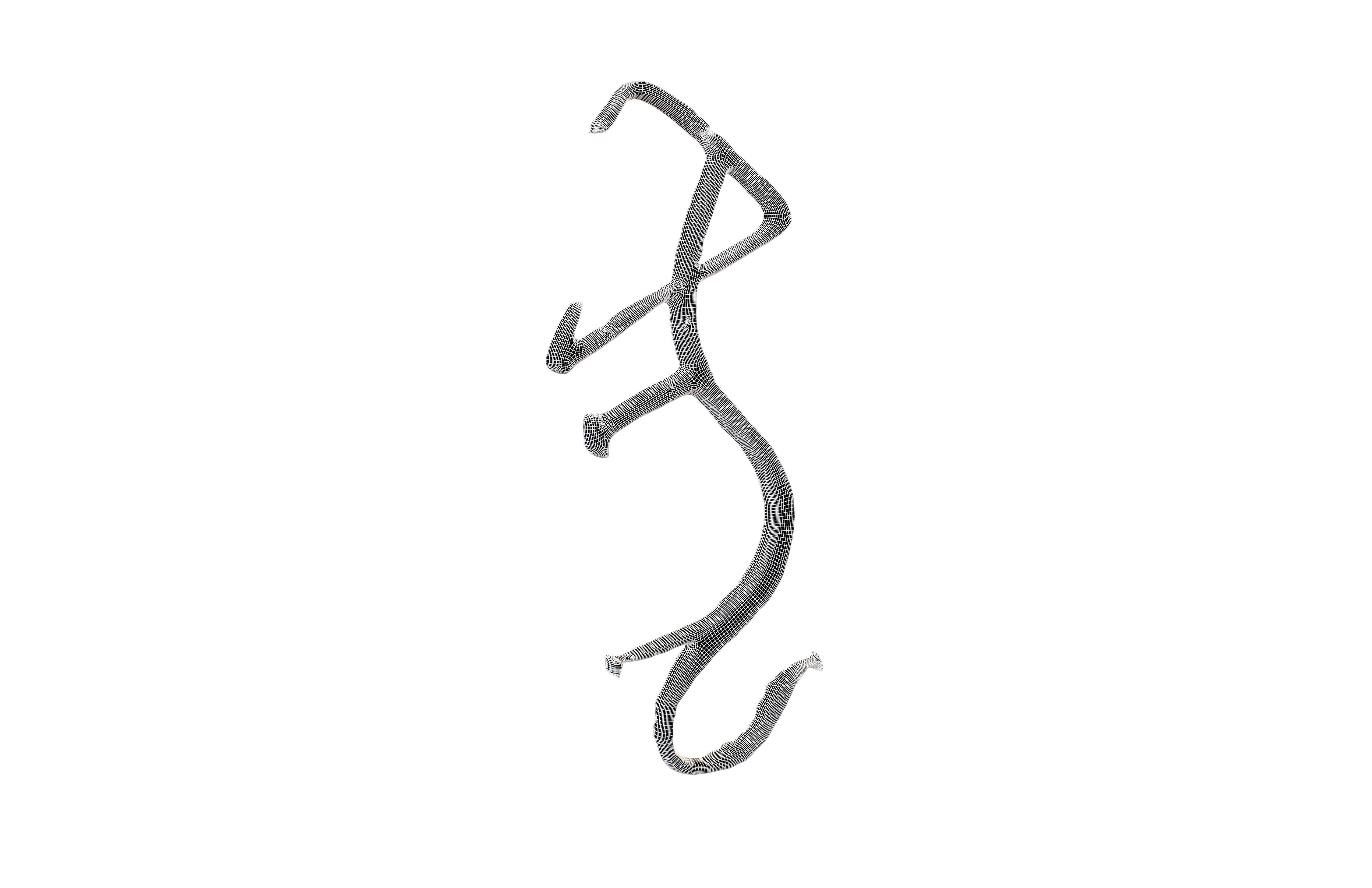 3D model Chinese Zodiac Tiger Oracle Bone Inscriptions v1 003 VR / AR ...