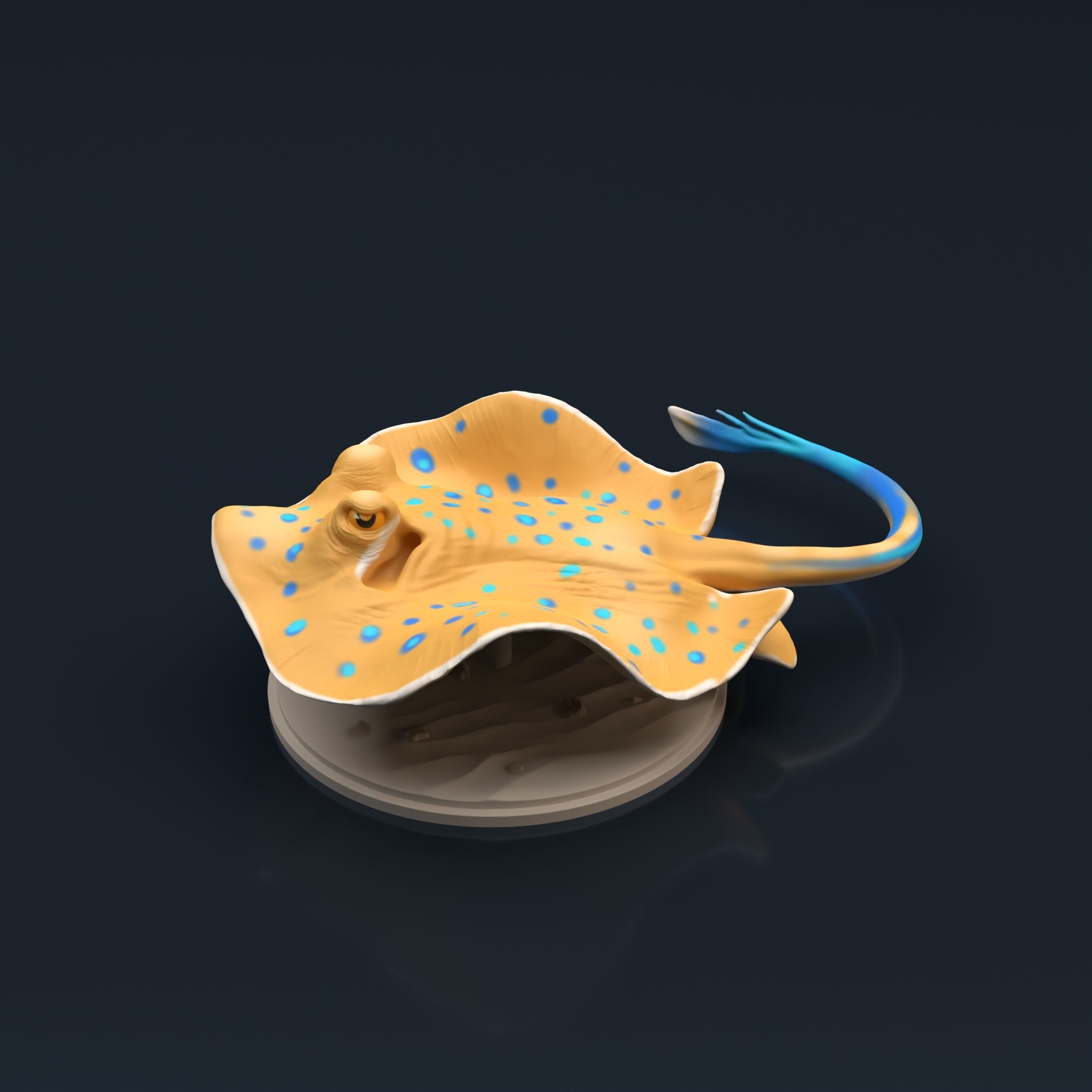 Blue Spotted Stingray for 3D Printing 3D model 3D printable | CGTrader