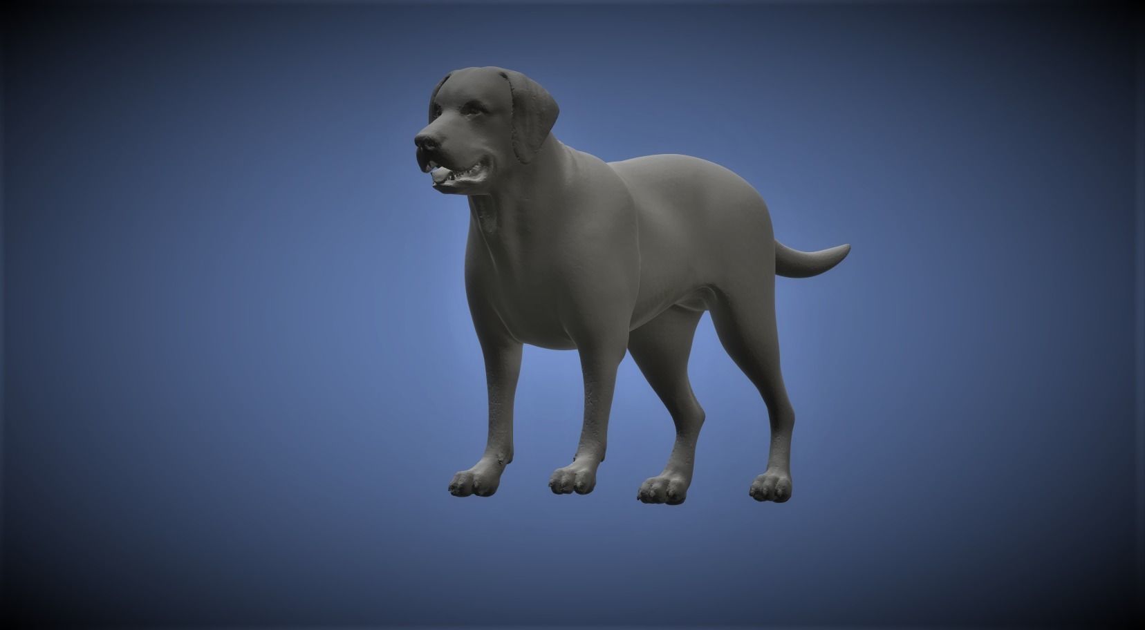Labrador retriever free 3D model 3D printable | CGTrader