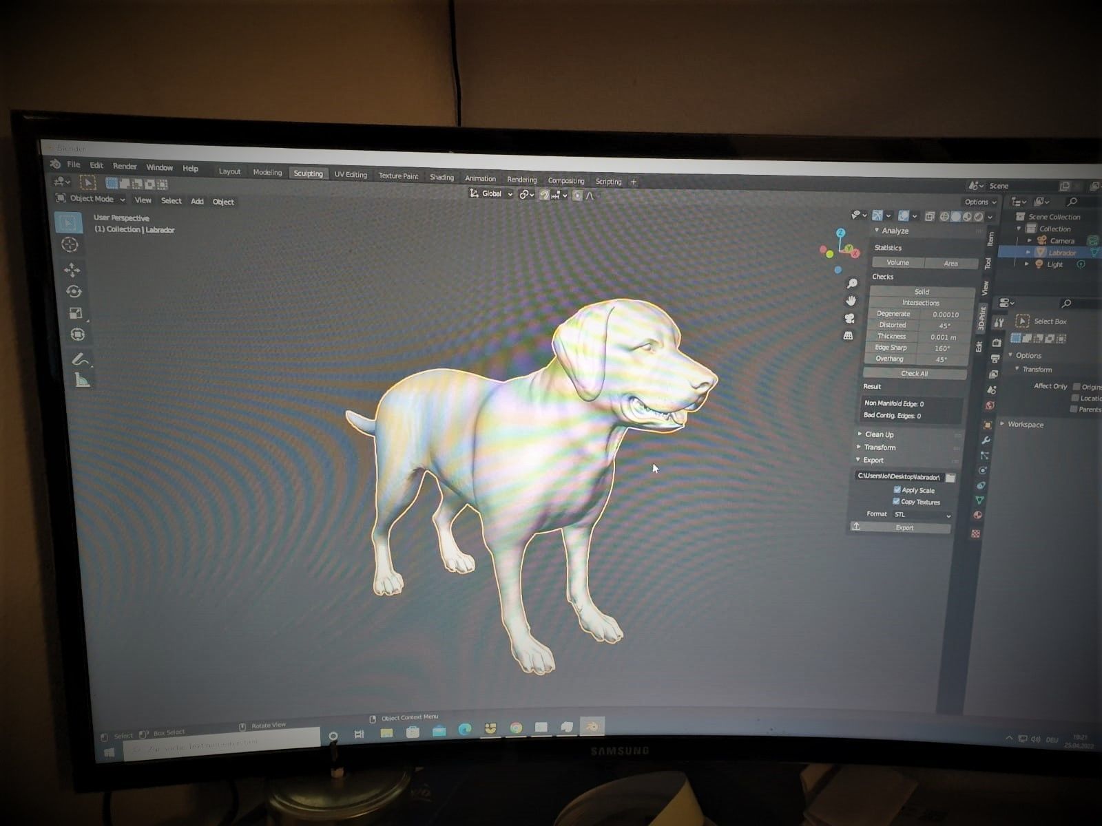 Labrador retriever free 3D model 3D printable | CGTrader