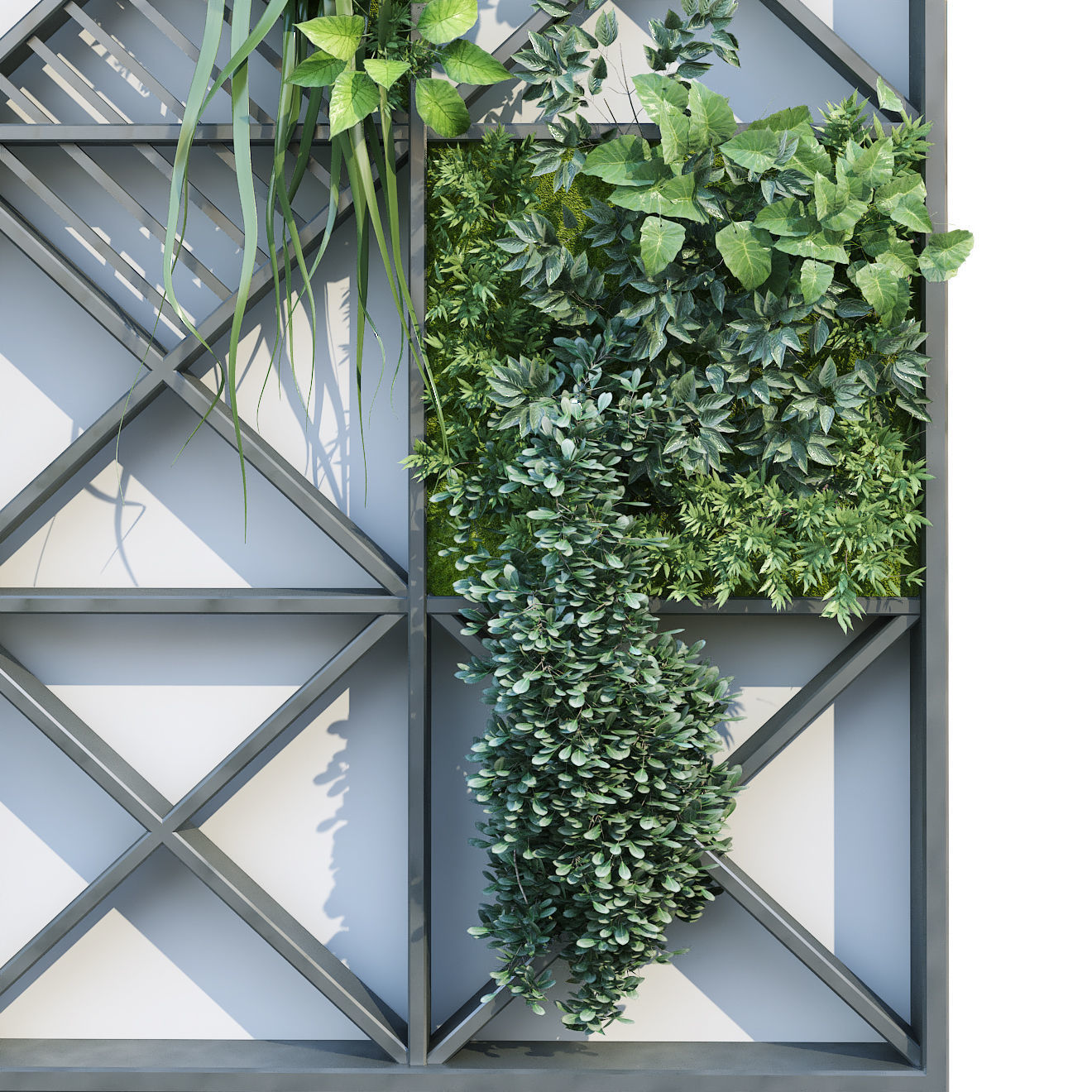 vertical plant set 200 3D model | CGTrader