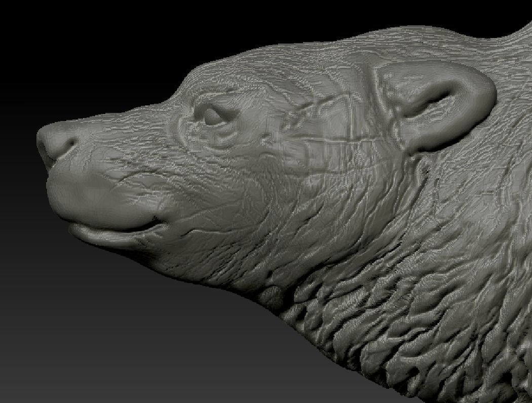 bear grizzly bear 3D model 3D printable | CGTrader