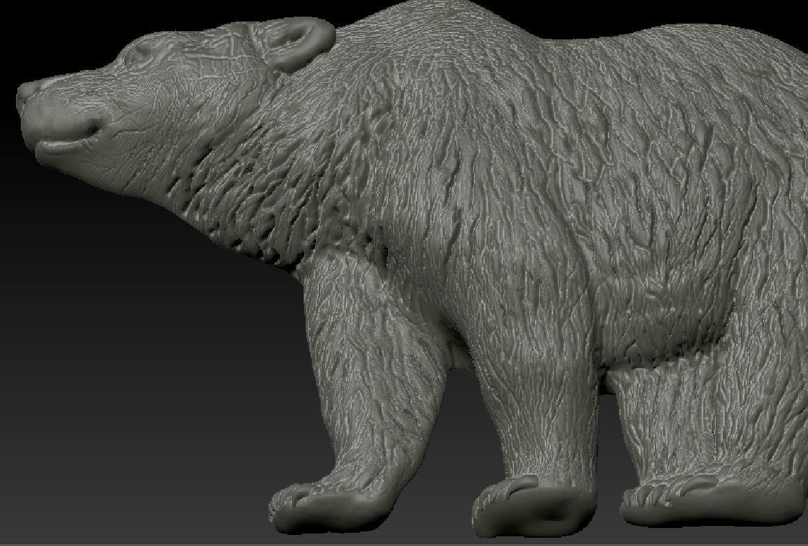 bear grizzly bear 3D model 3D printable | CGTrader