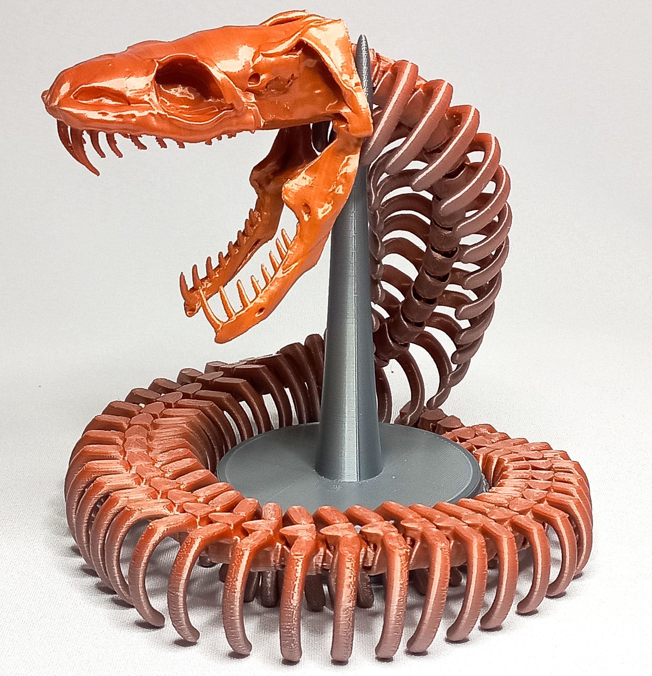 ARTICULATED SKELETON SNAKE 3D model 3D printable | CGTrader