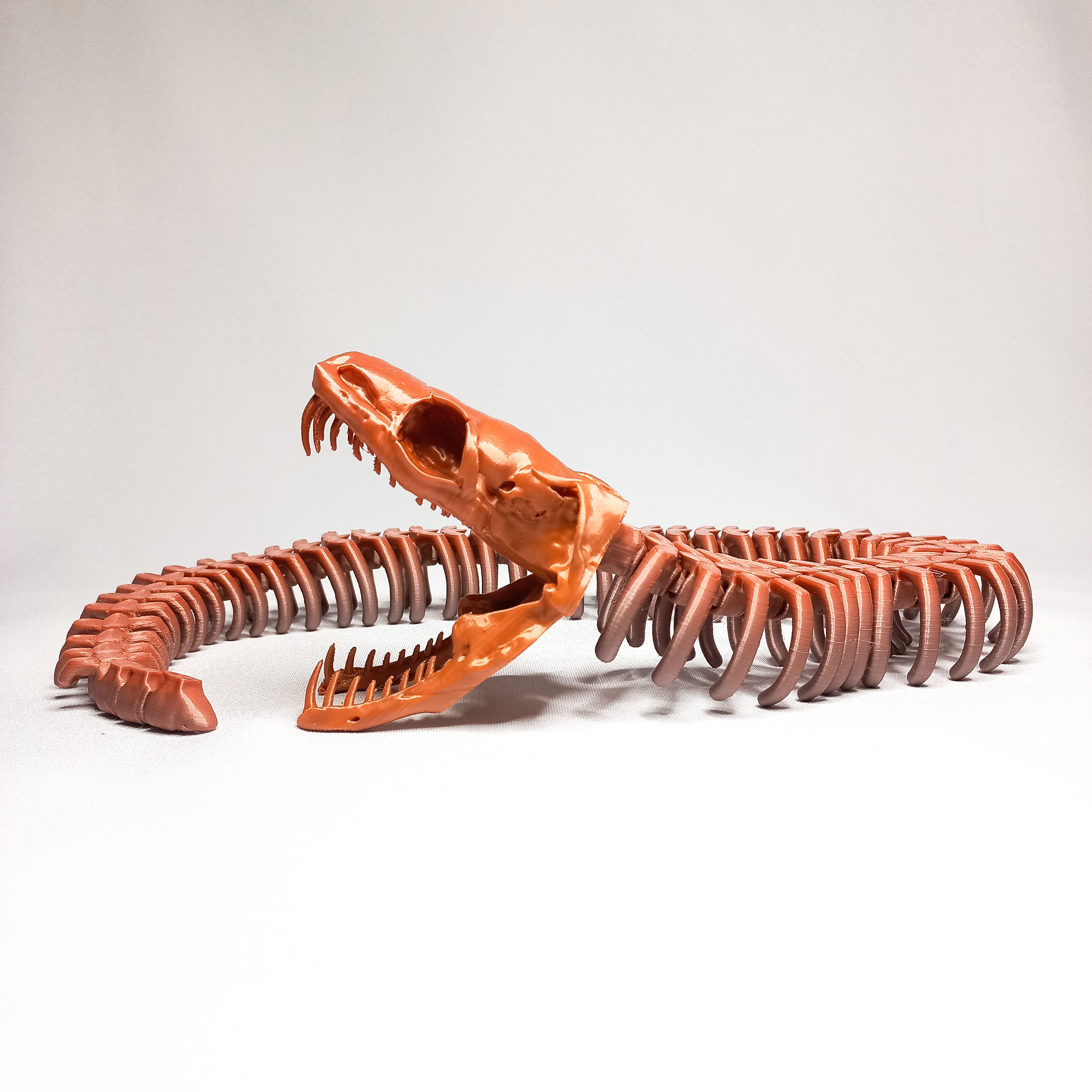 ARTICULATED SKELETON SNAKE 3D model 3D printable | CGTrader