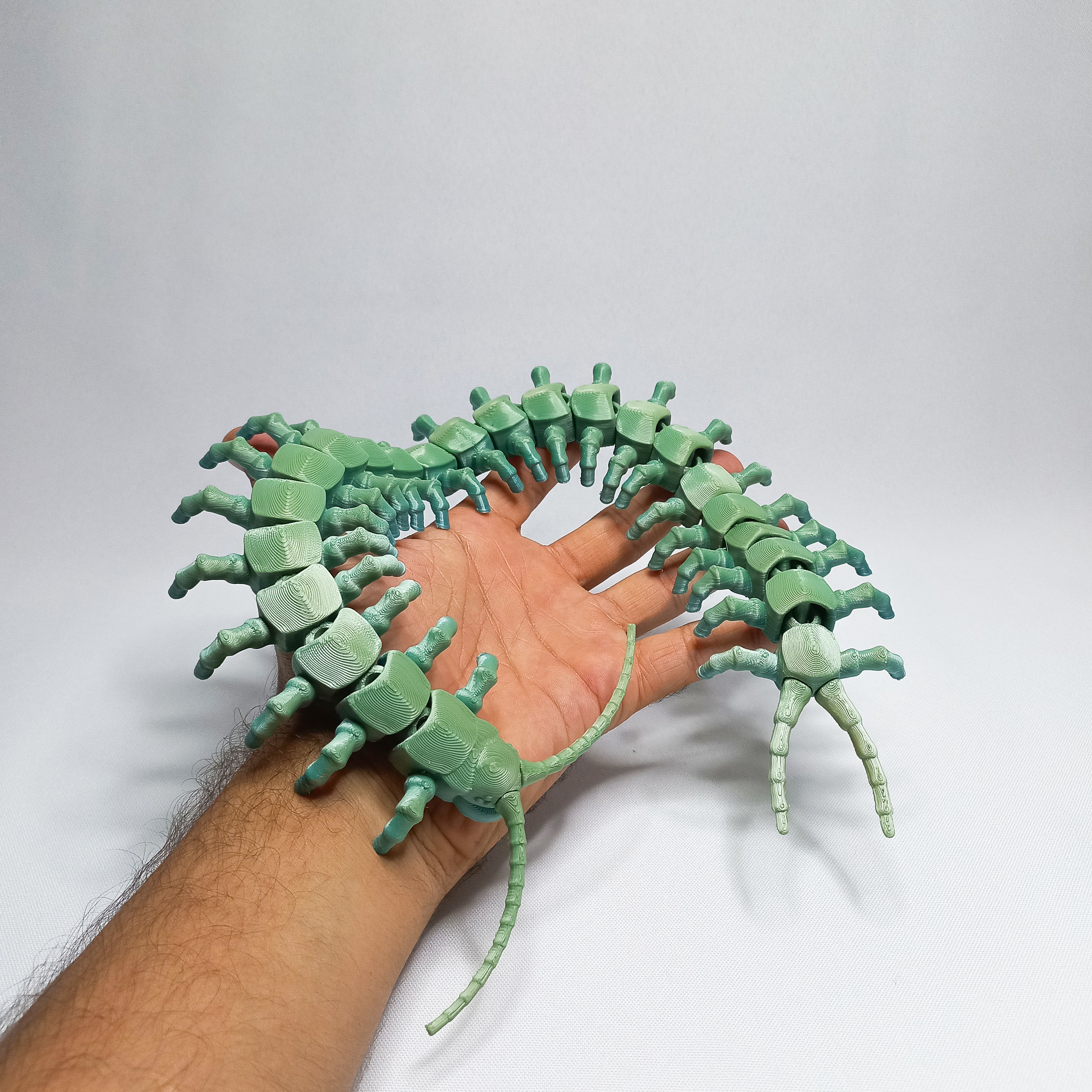 CENTIPEDE paper caterpillar 3D model 3D printable | CGTrader