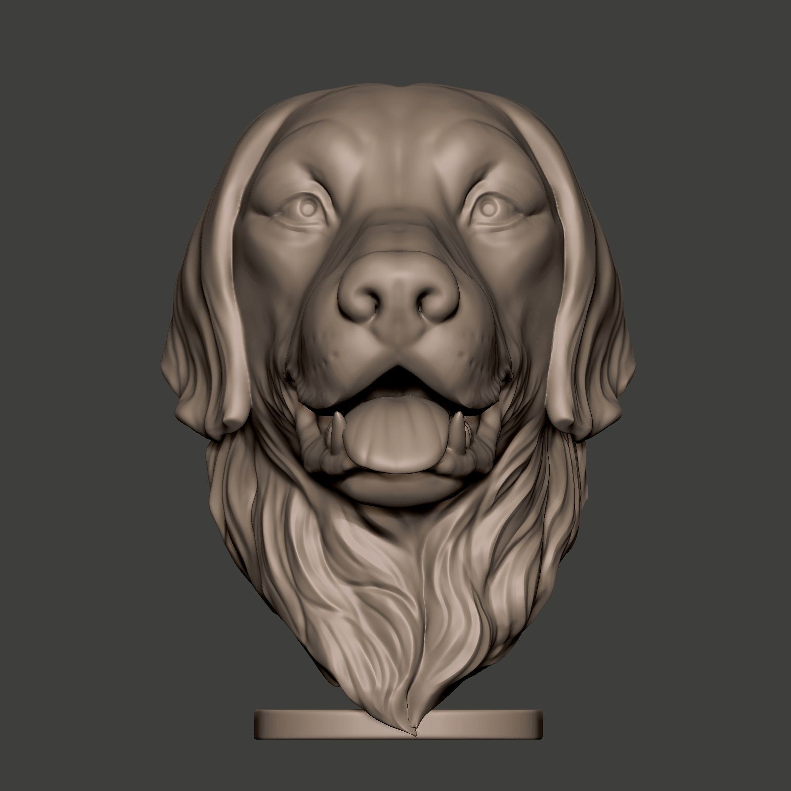 Golden retriever 3D model 3D printable | CGTrader