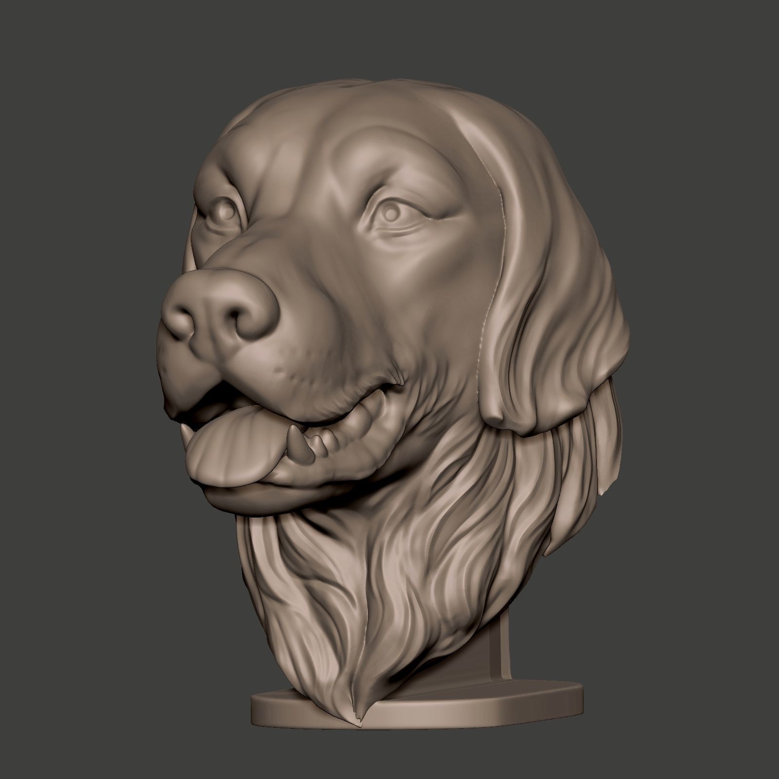 Golden retriever 3D model 3D printable | CGTrader