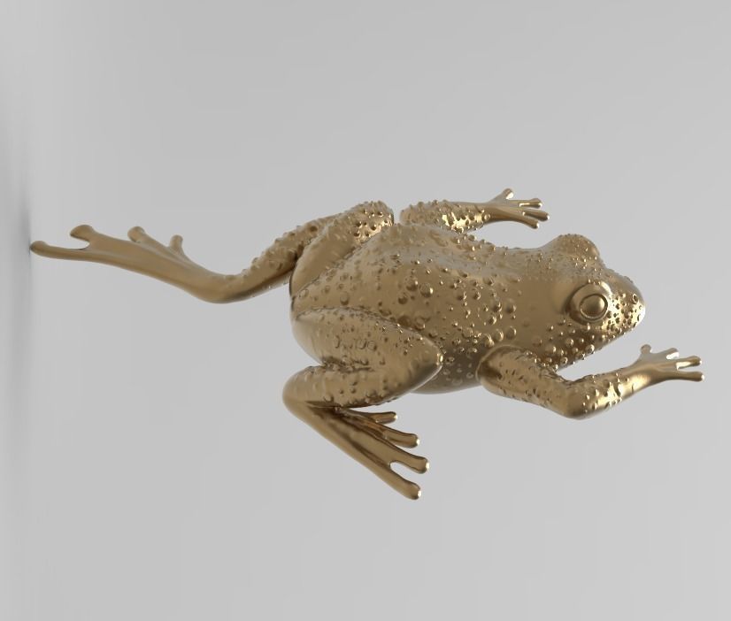 i am frog 3D model 3D printable | CGTrader