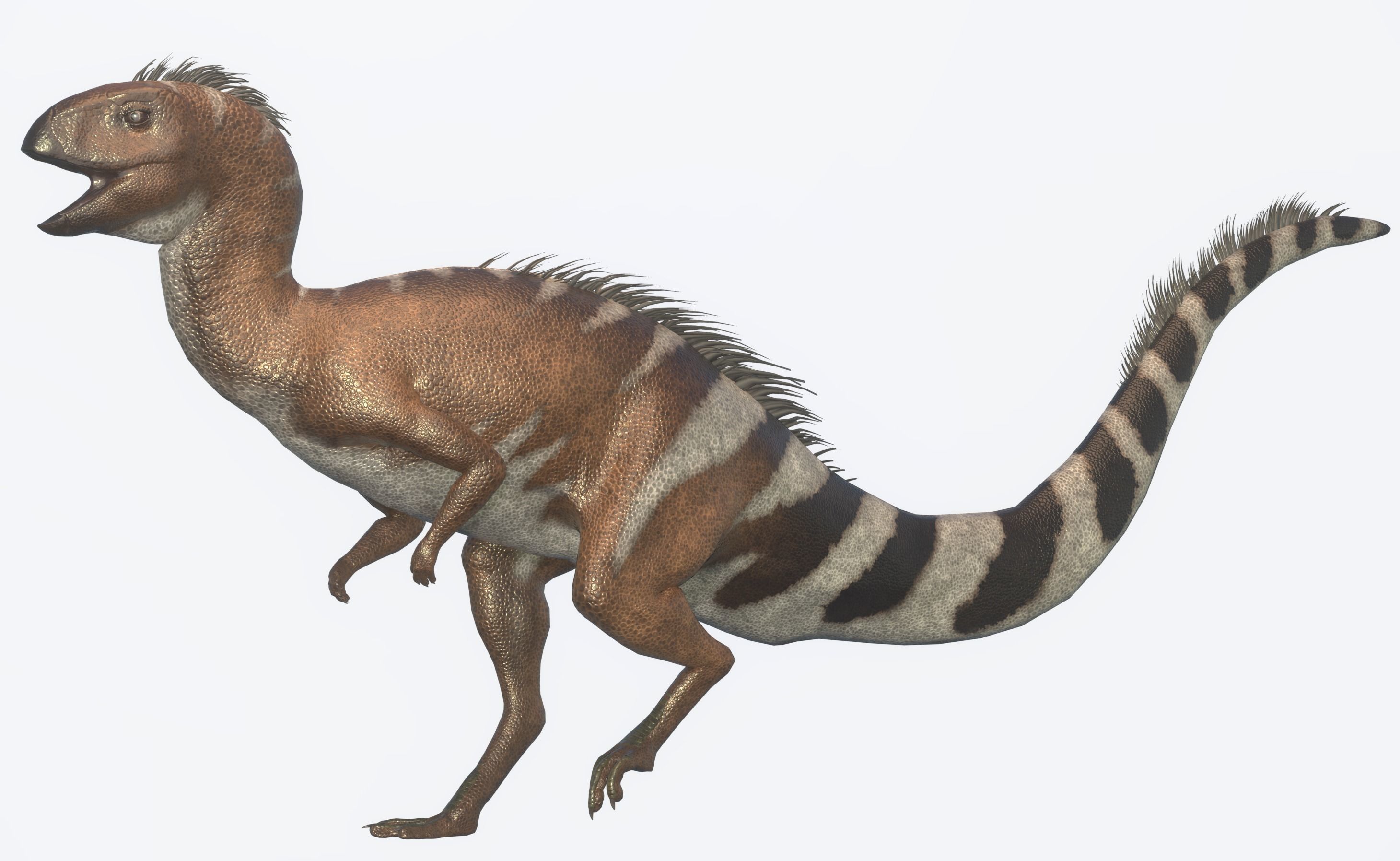 3D model Dryosaurus Asset Pack VR / AR / low-poly | CGTrader