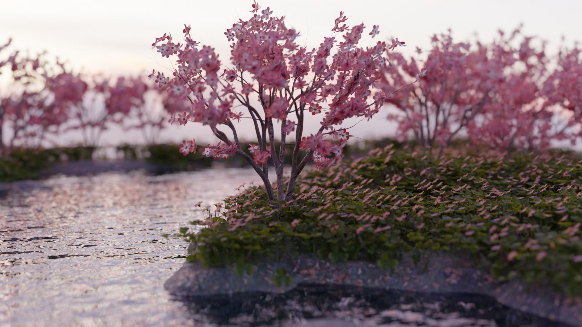 3D model Japanese Cherry tree VR / AR / low-poly | CGTrader