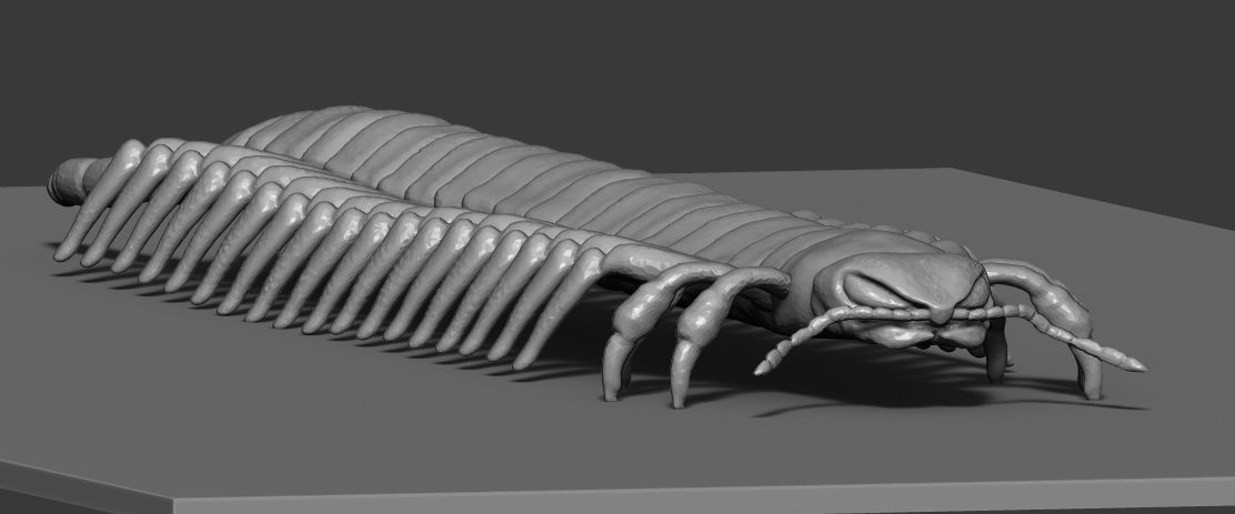 Centipede model 3D model 3D printable | CGTrader