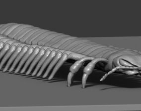 Centipede 3D Print Models | CGTrader