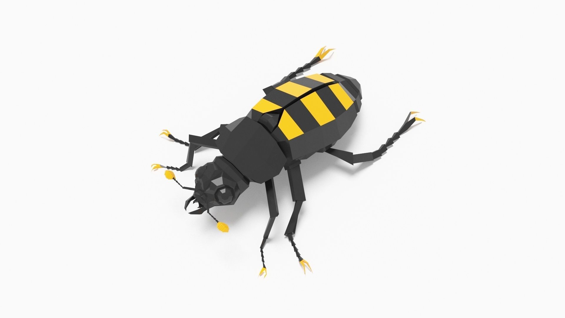 Bug low poly beetle 3D model | CGTrader