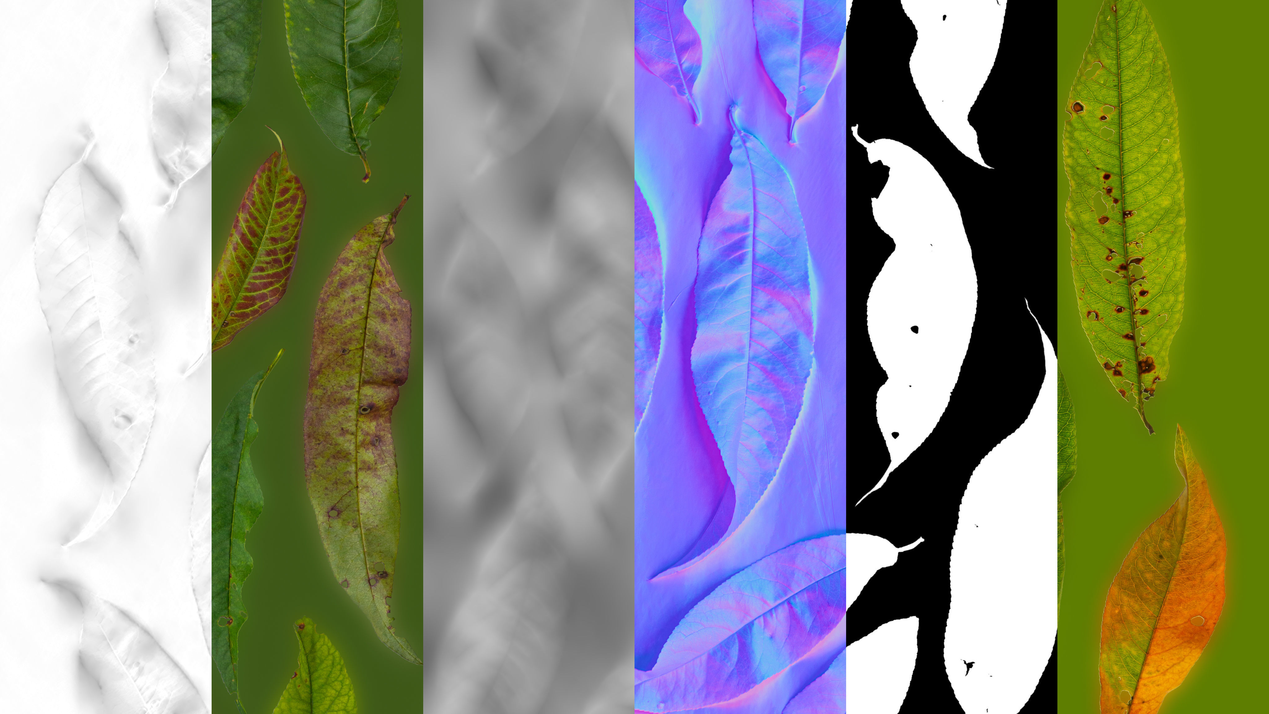 Garden trees leaves atlases Texture | CGTrader